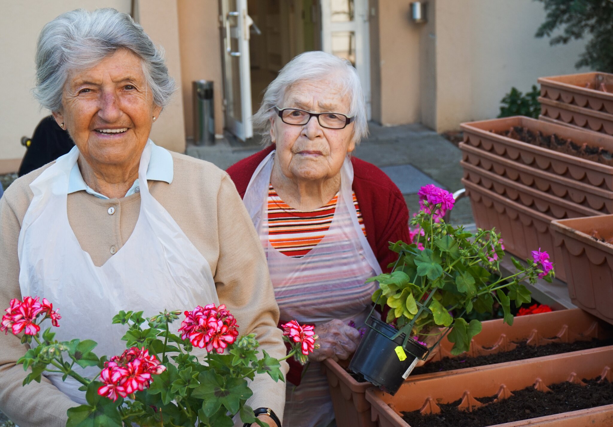 Blumen Bad Rappenau