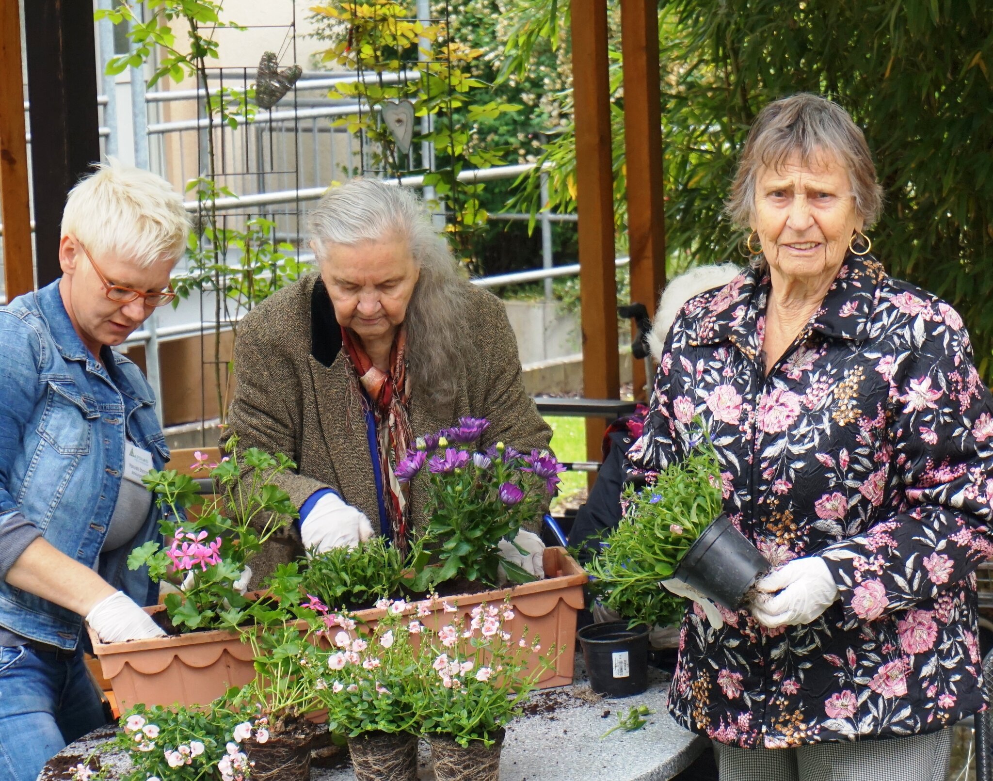 Blumen Bad Rappenau