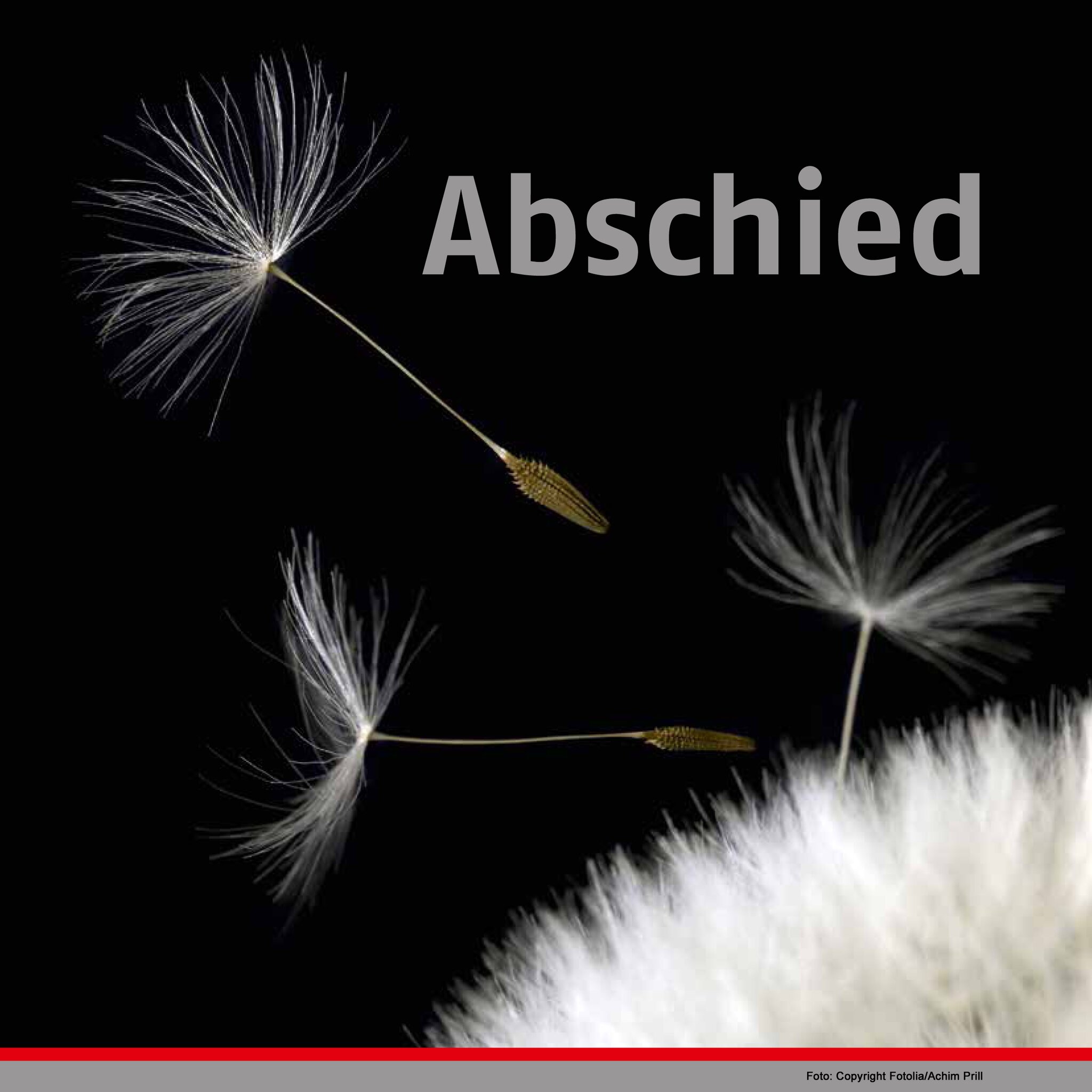 Broschüre "Abschied": Impulse für Trost und Gespräche - Leingarten