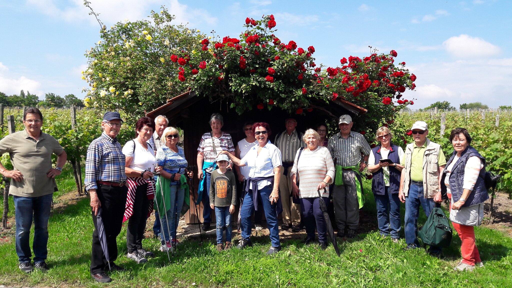 Wanderung mit weitem Rundumblick - Ilsfeld