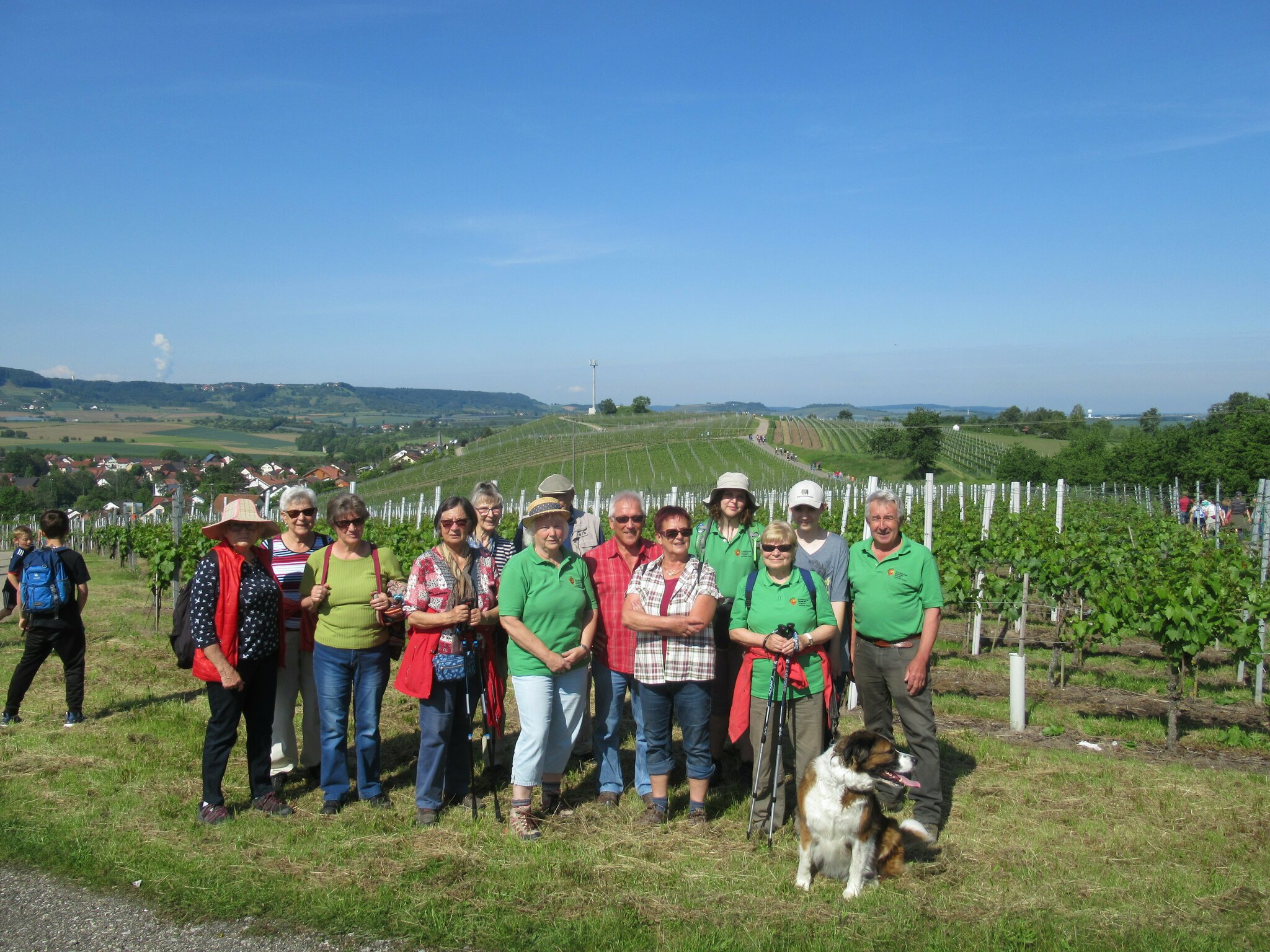 Albverein Ingelfingen-Criesbach - Ingelfingen