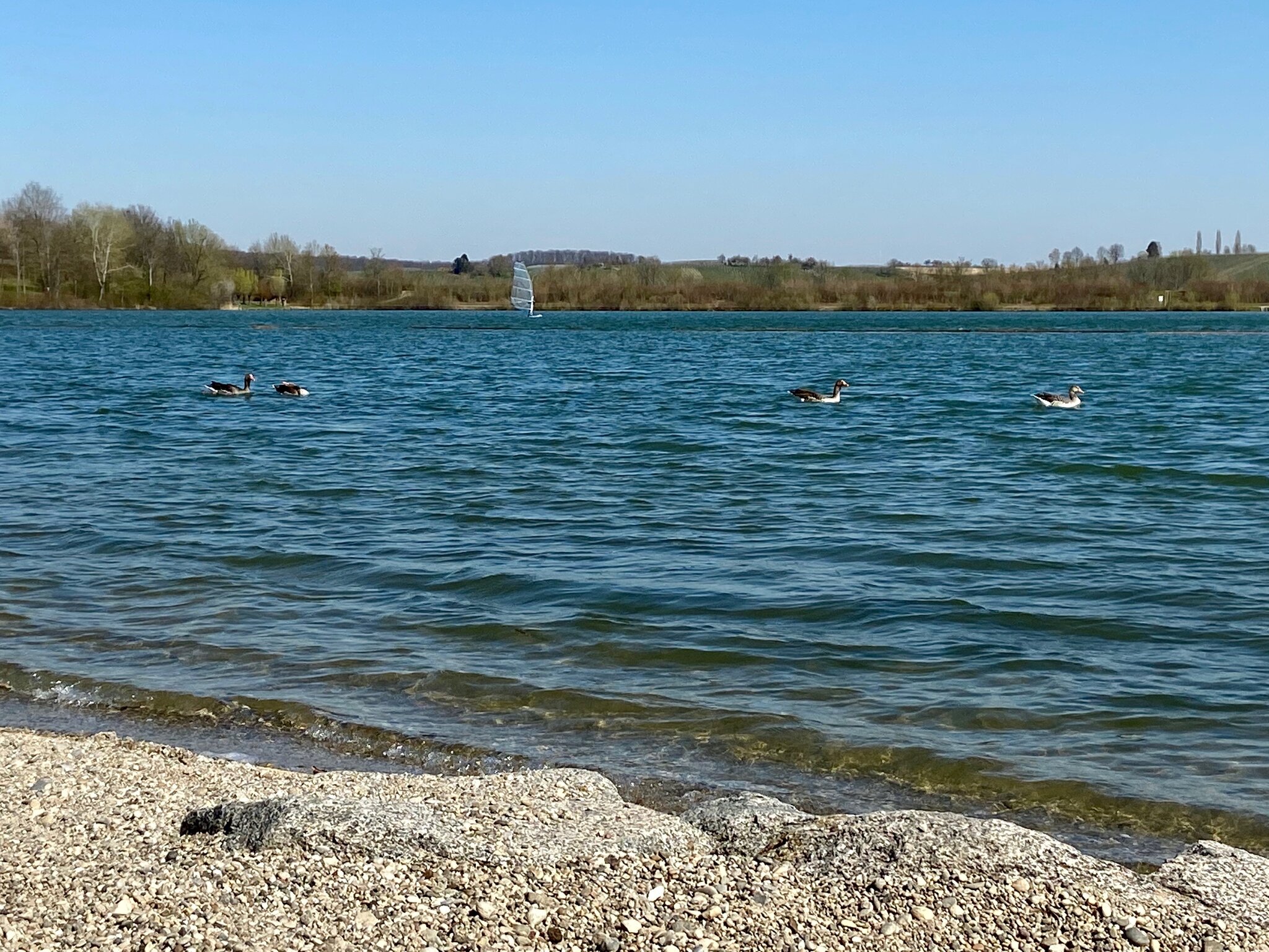 Ich, Euer Lieblingsplatz Breitenauer See, grüsse die Community ...