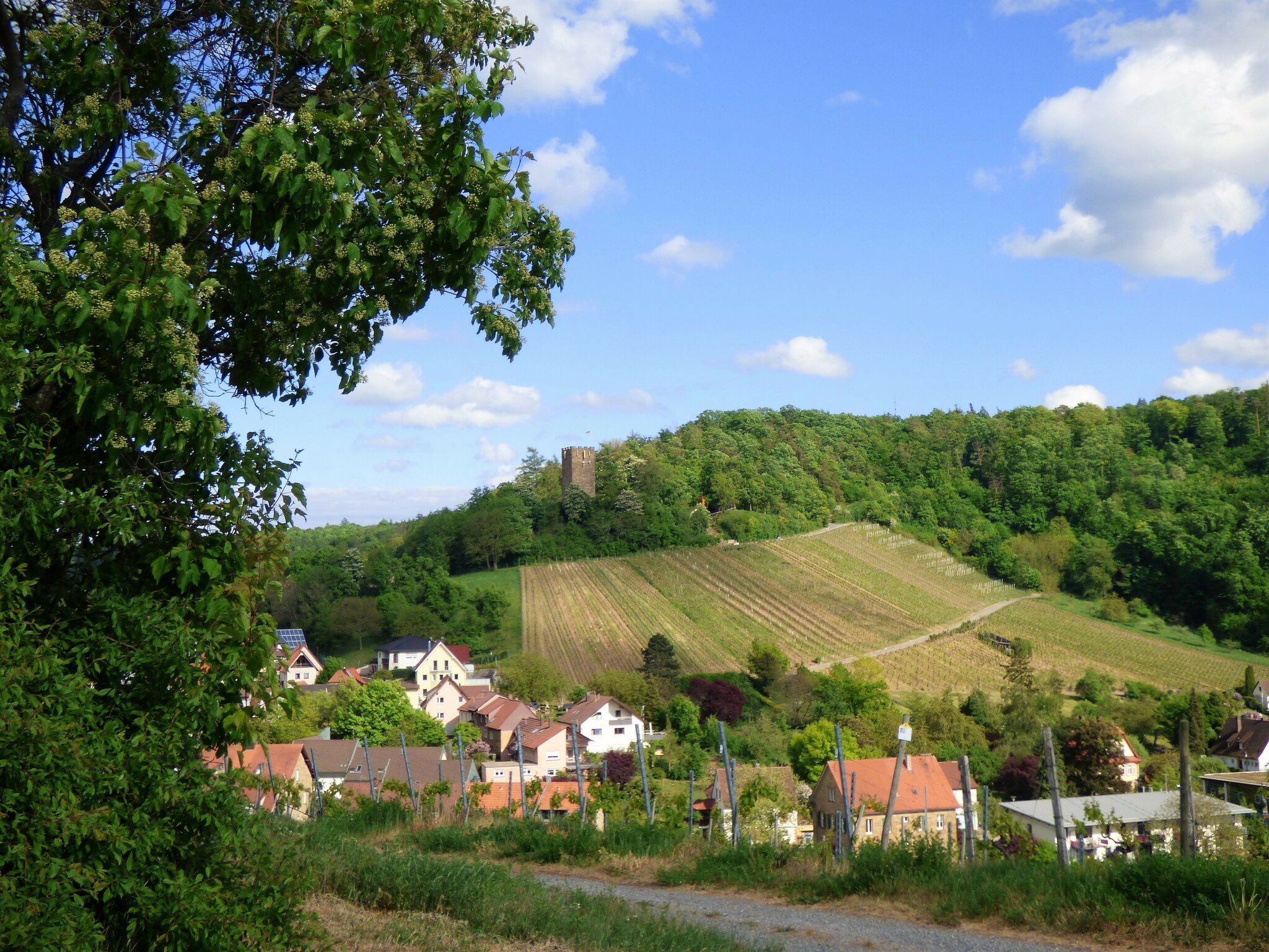 Aussichtsreiche und beschauliche Tour in Sternenfels - wo einst die ...
