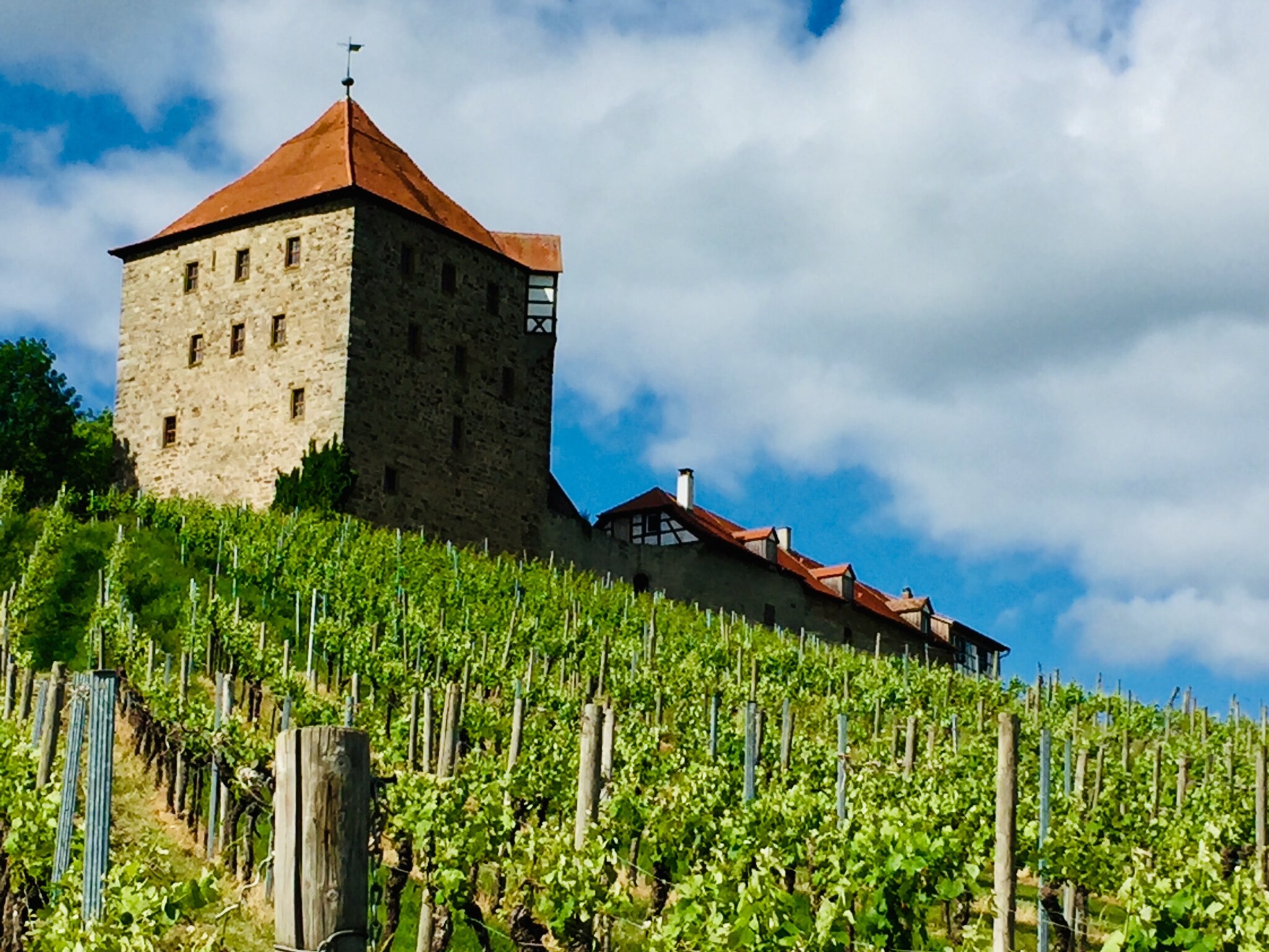 Burg Wildeck – Burgruine Helfenberg – Annasee Abwechslungsreiche ...