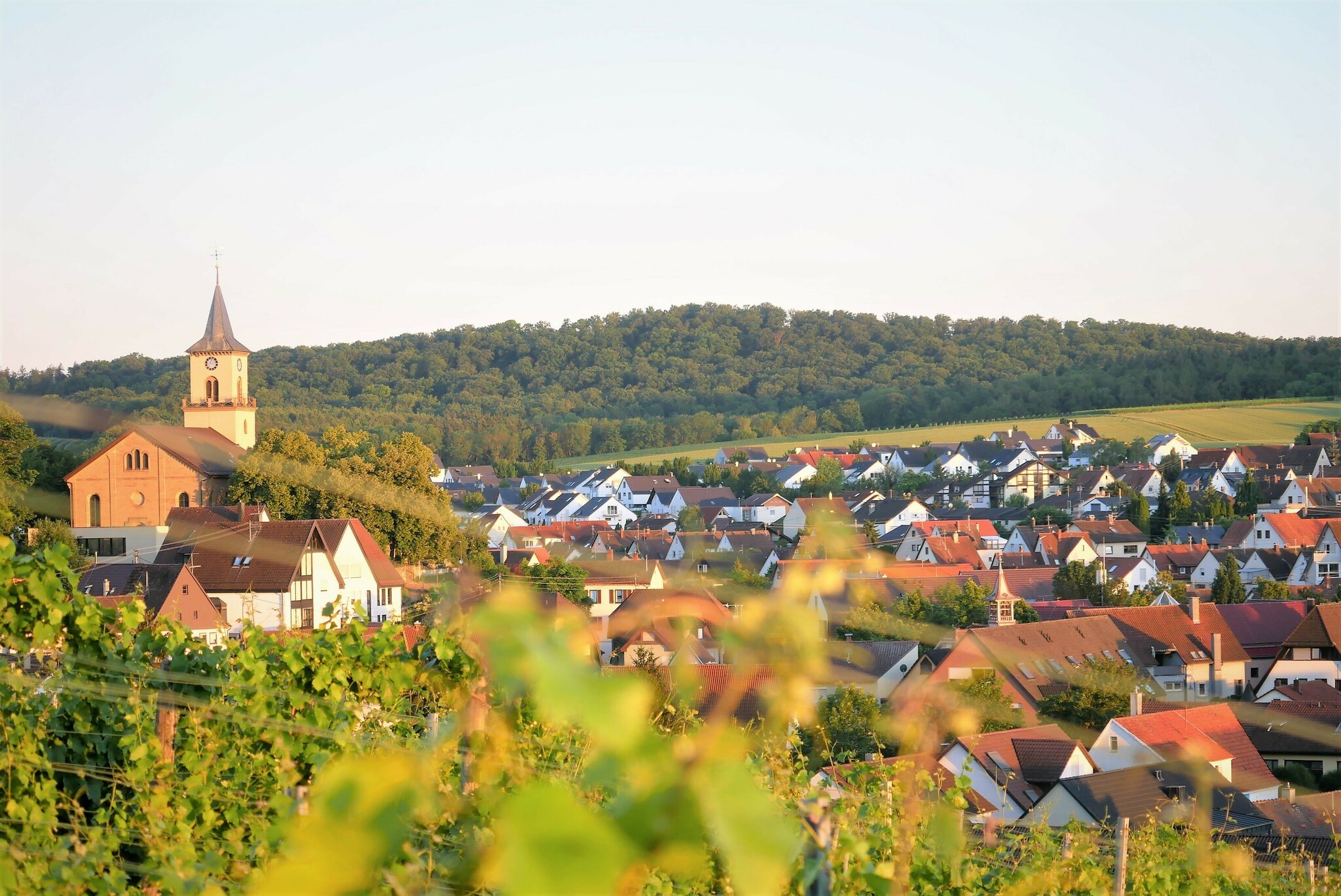 50 Wochen, 50 Orte-Fotowettbewerb: Flein - Flein