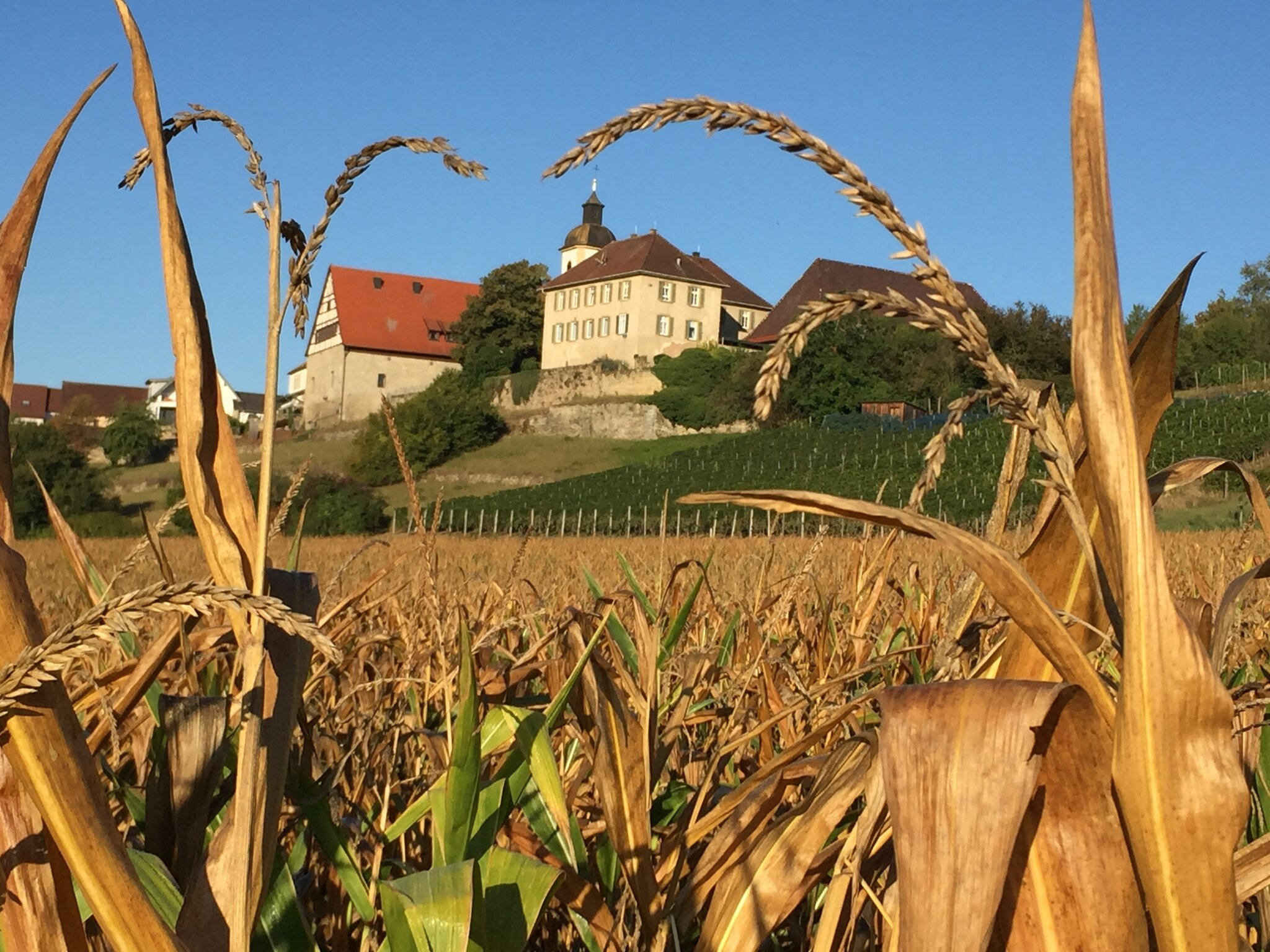 50 Wochen, 50 Orte-Fotowettbewerb: Bad Friedrichshall - Bad Friedrichshall