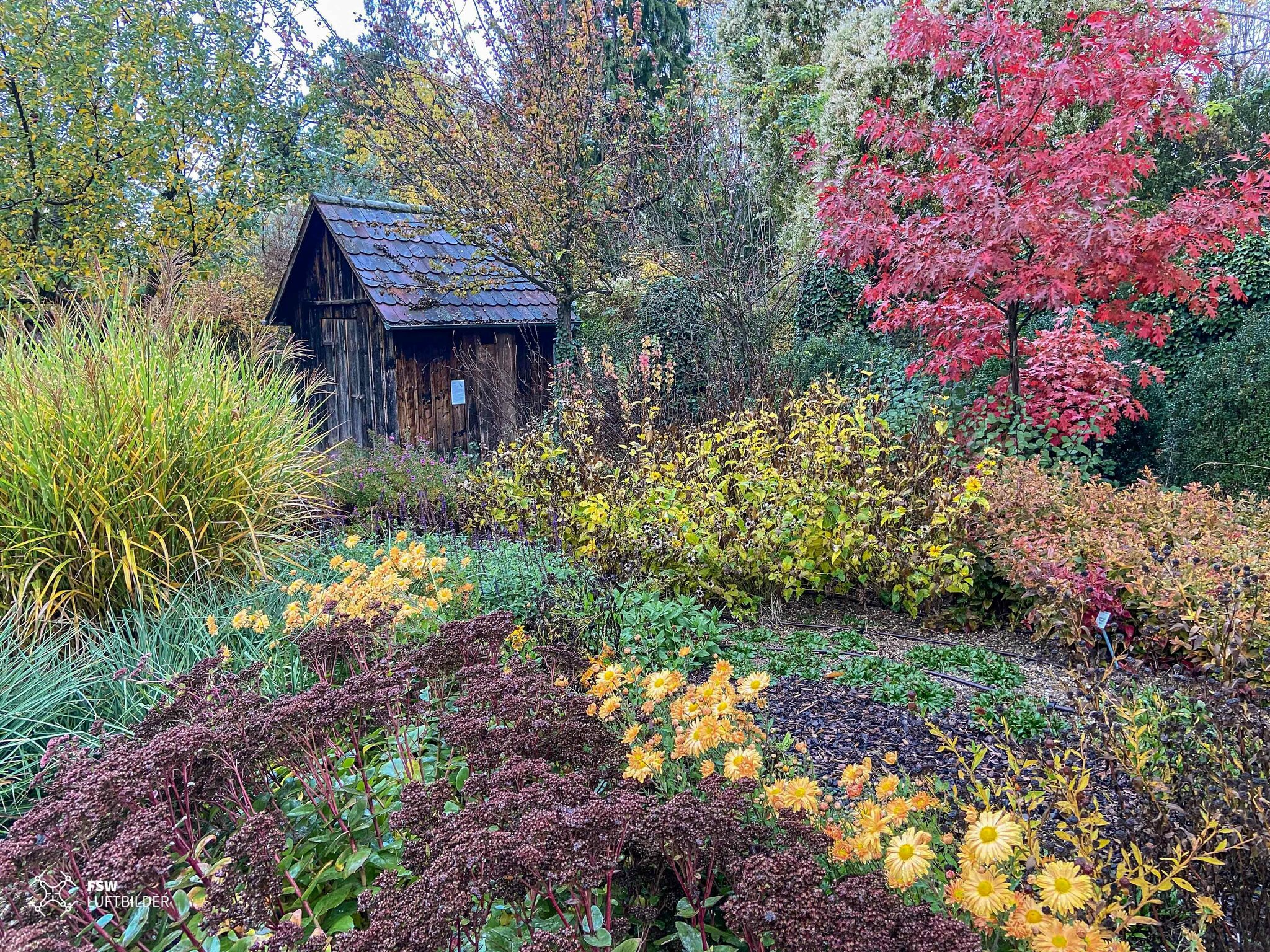 Obstgarten Heilbronn unter dem Wartberg - Heilbronn