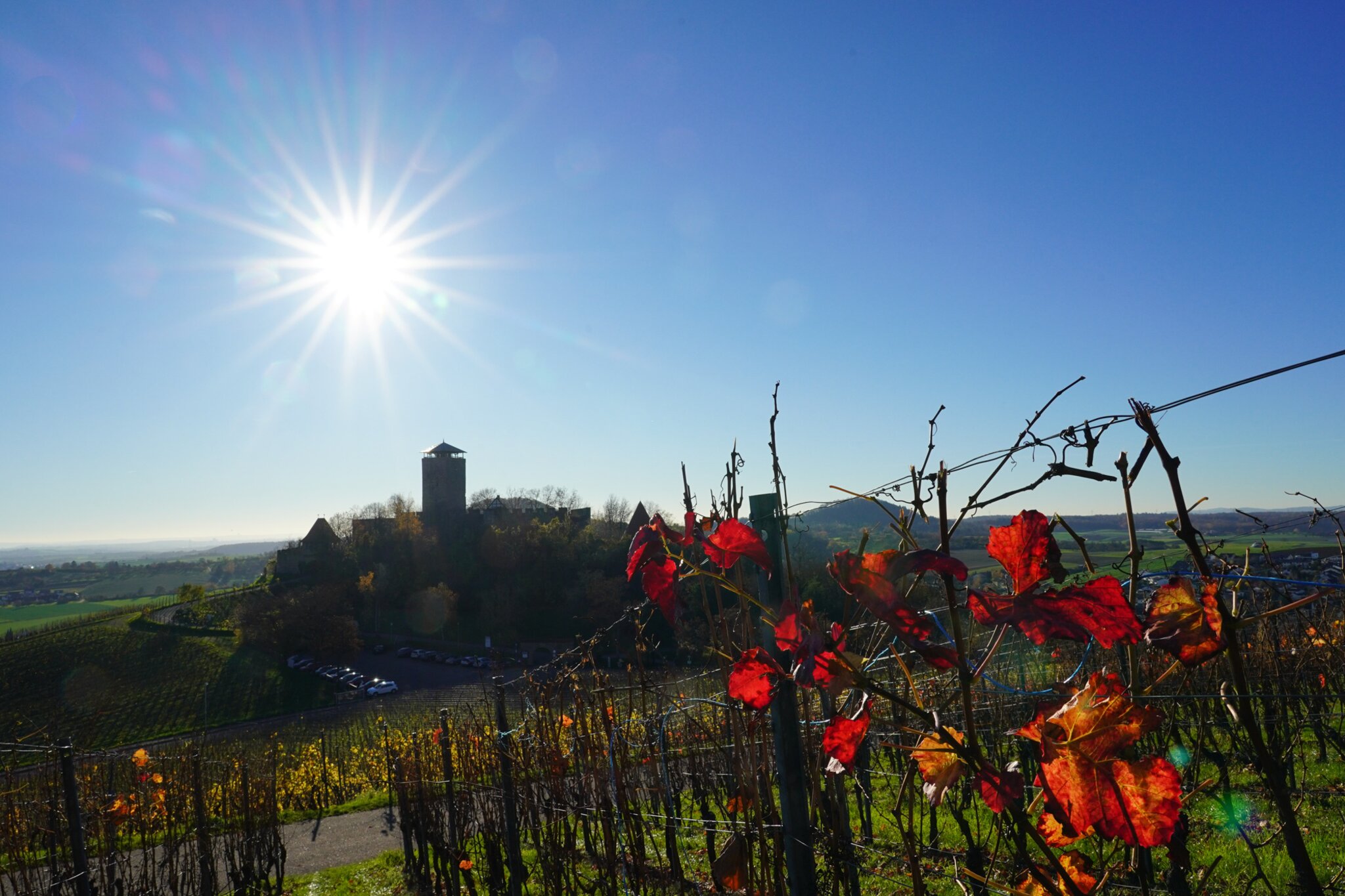 In den Weinbergen oberhalb von Beilstein und am Annasee - Lauffen