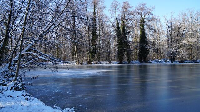 winterlicher Annasee bei Beilstein - Beilstein