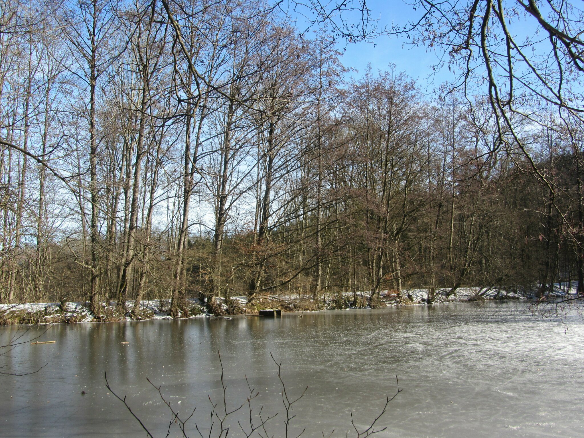 Waldsee Brettach Eis - Langenbrettach