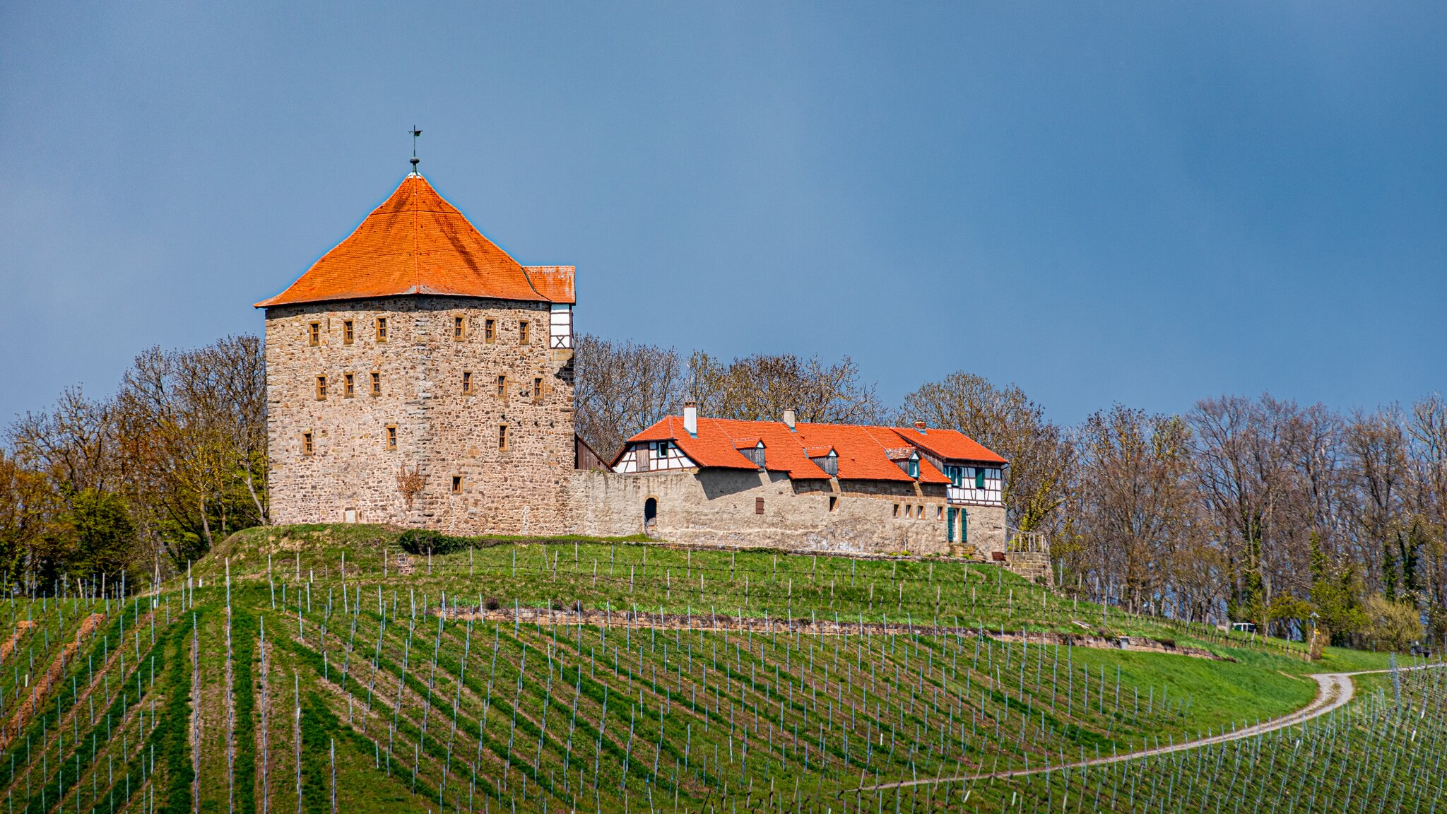 Burgruine Helfenberg - Burg Wildeck - Annasee - Güglingen