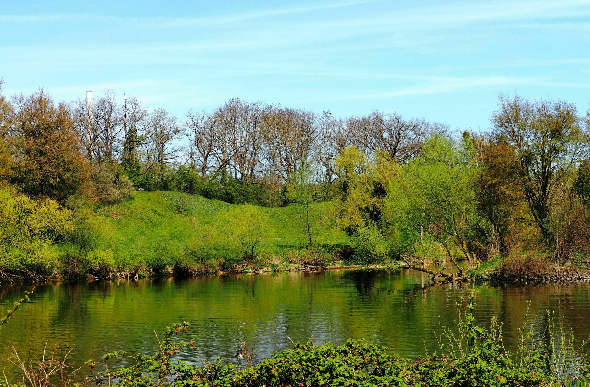 Die Mündung der Jagst - Neckarsulm