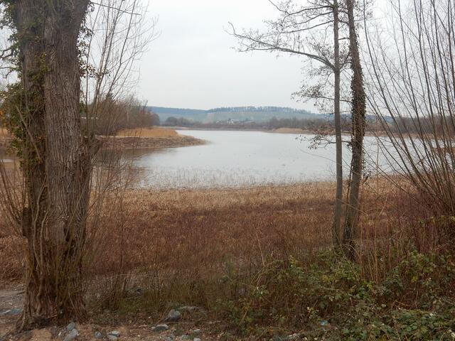 Löwenstein & Breitenauer See - Lauffen