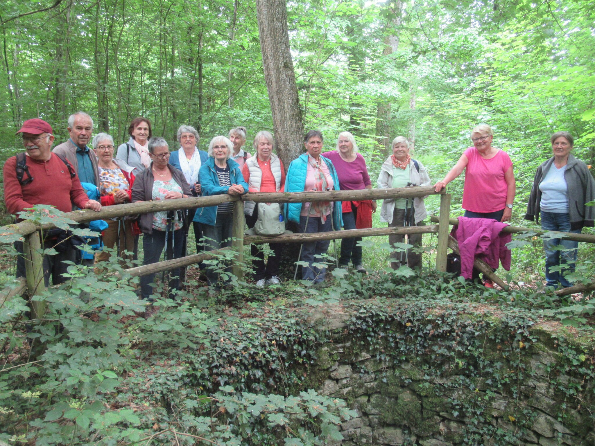 Schwäbischer Albverein Ingelfingen-Criesbach - Ingelfingen
