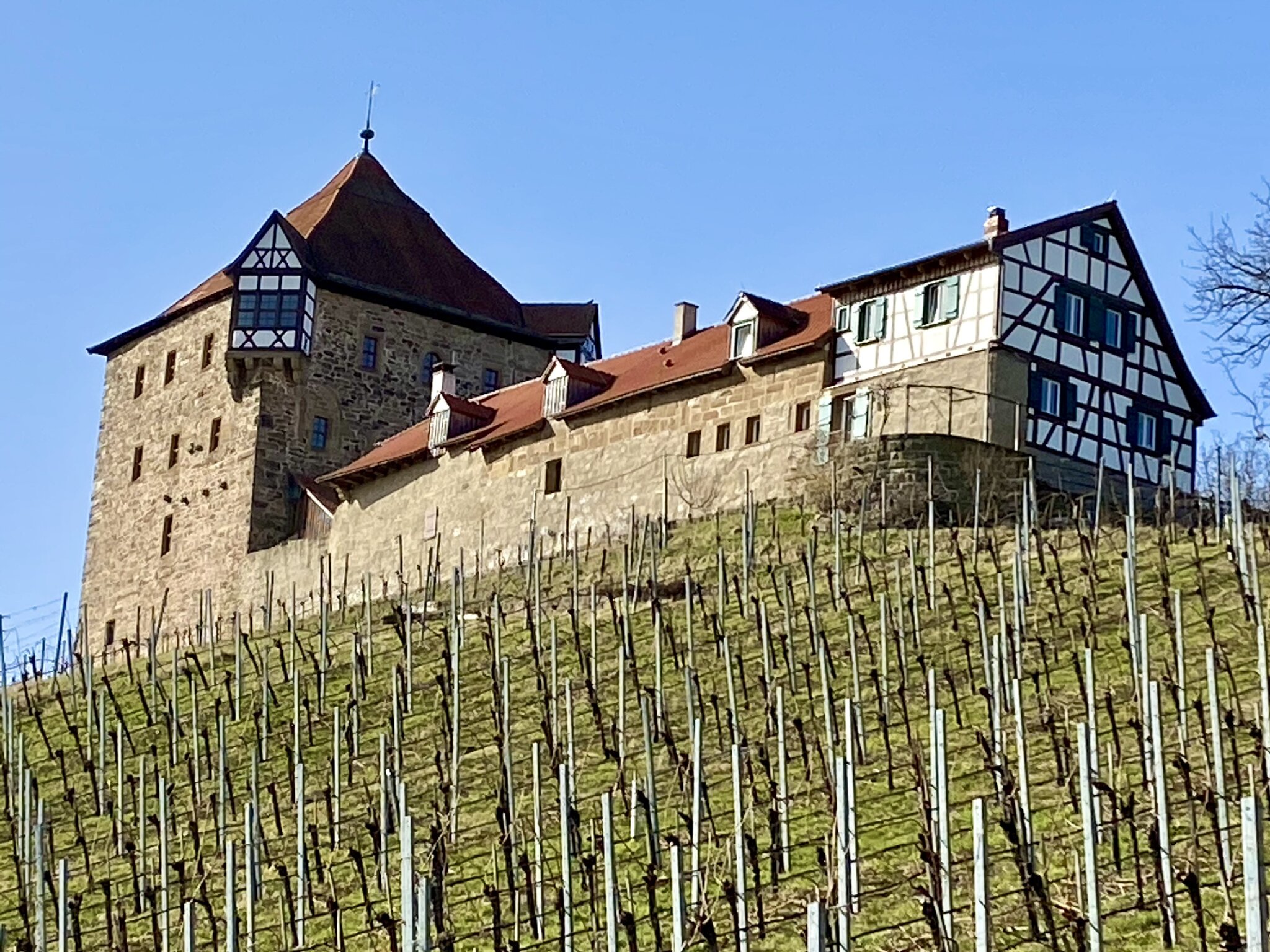 Mein Freizeittipp August - Burg Wildeck – Burgruine Helfenberg ...