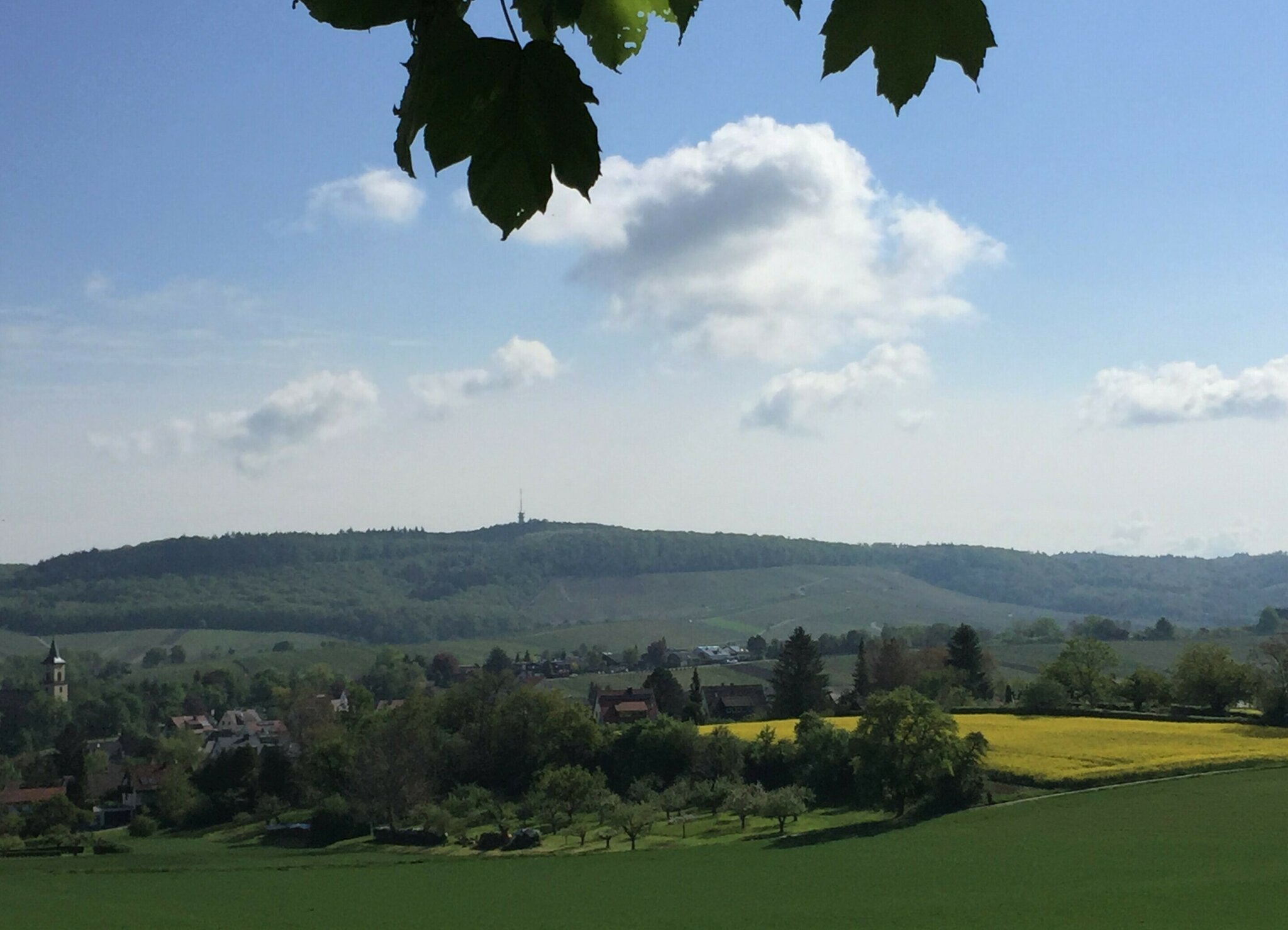 Wohlfühlort Flein: Hommage an Flein - Flein