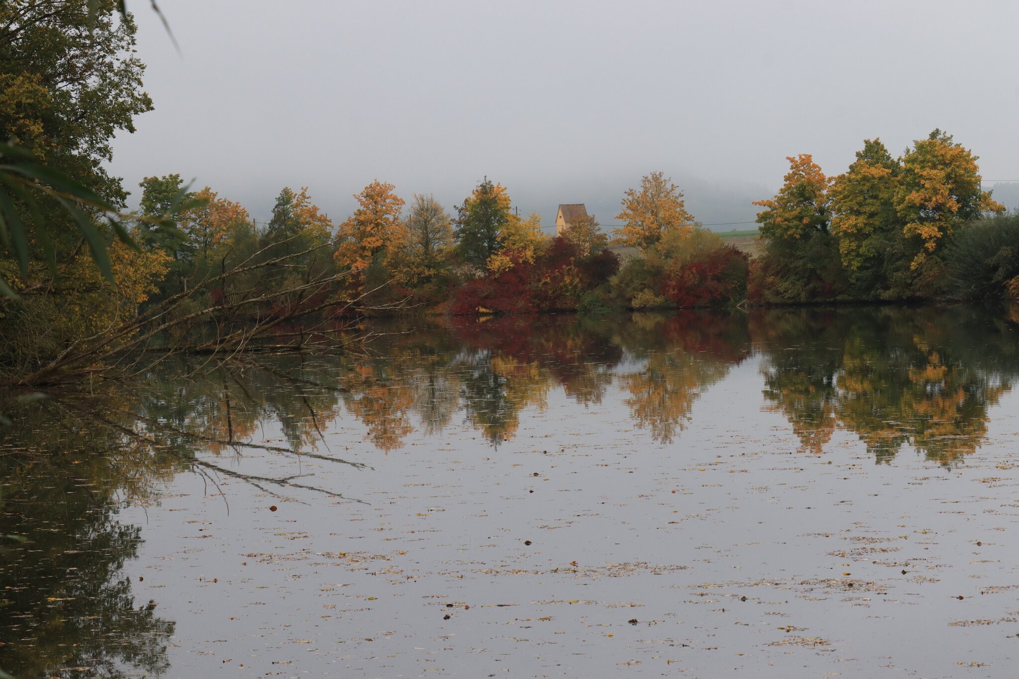 Herbst-Stimmung am Breitenauer See - Obersulm