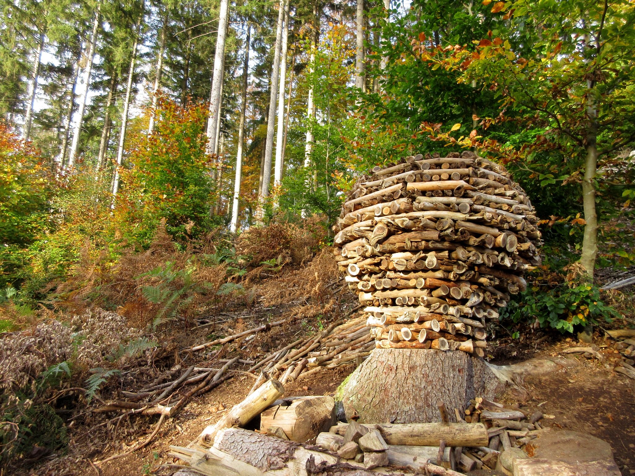 Monumente um Prevorst - Heilbronn