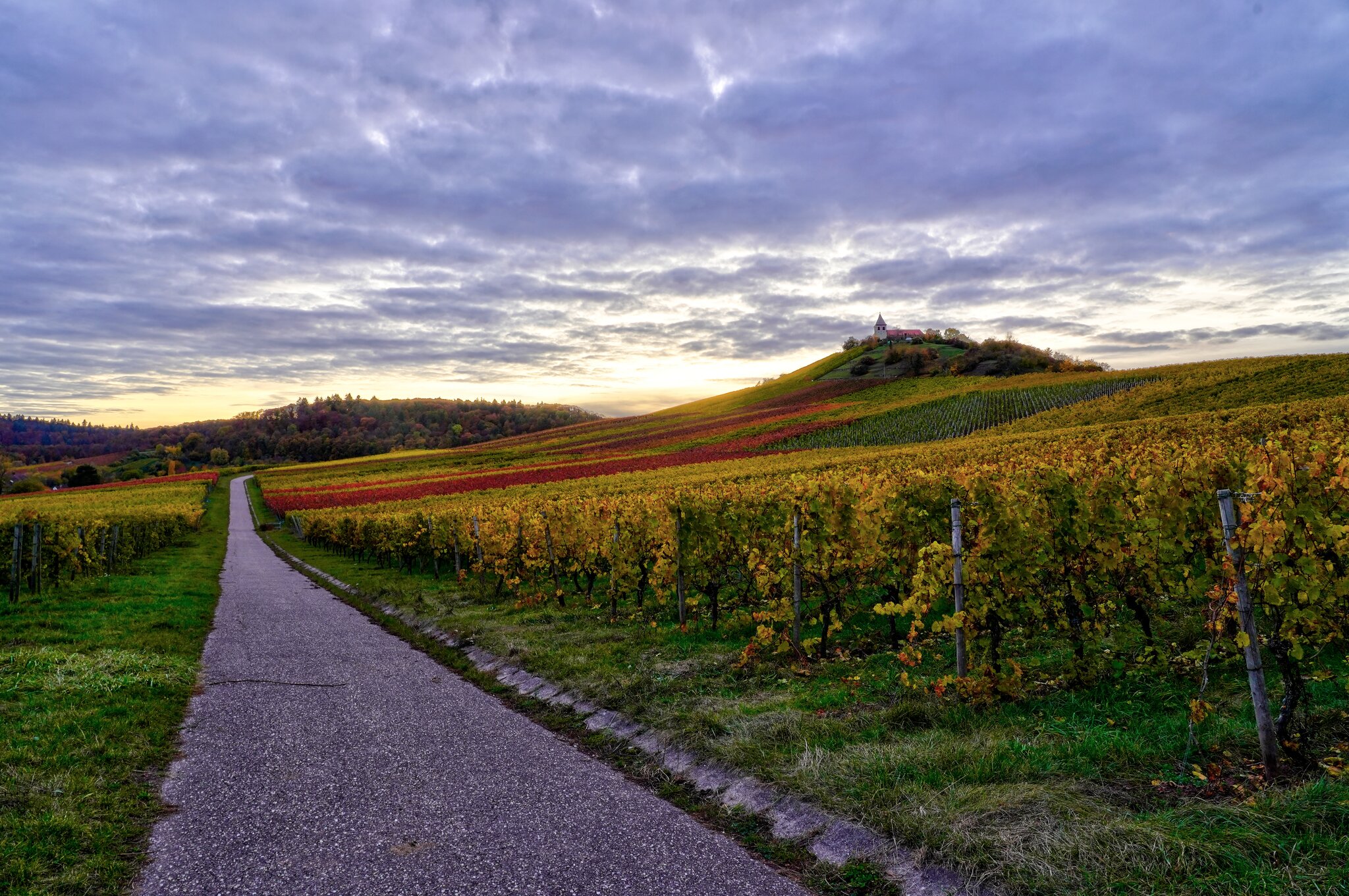 Wandern in schöner Natur: Der Michaelsberg im Herbst - Lauffen