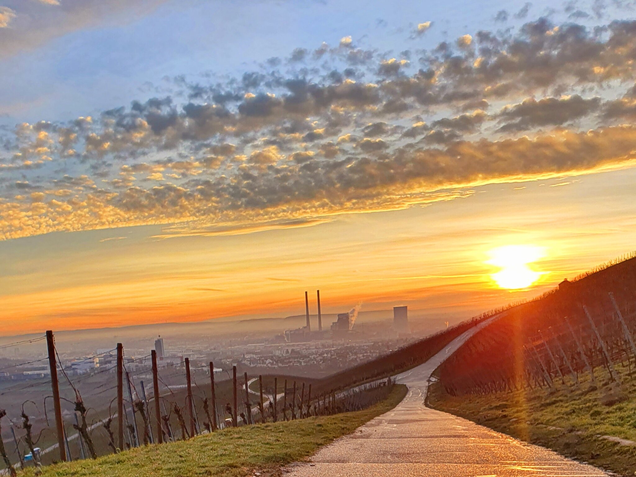 Neckartal: Sonnenuntergang am Scheuerberg - Neckarsulm
