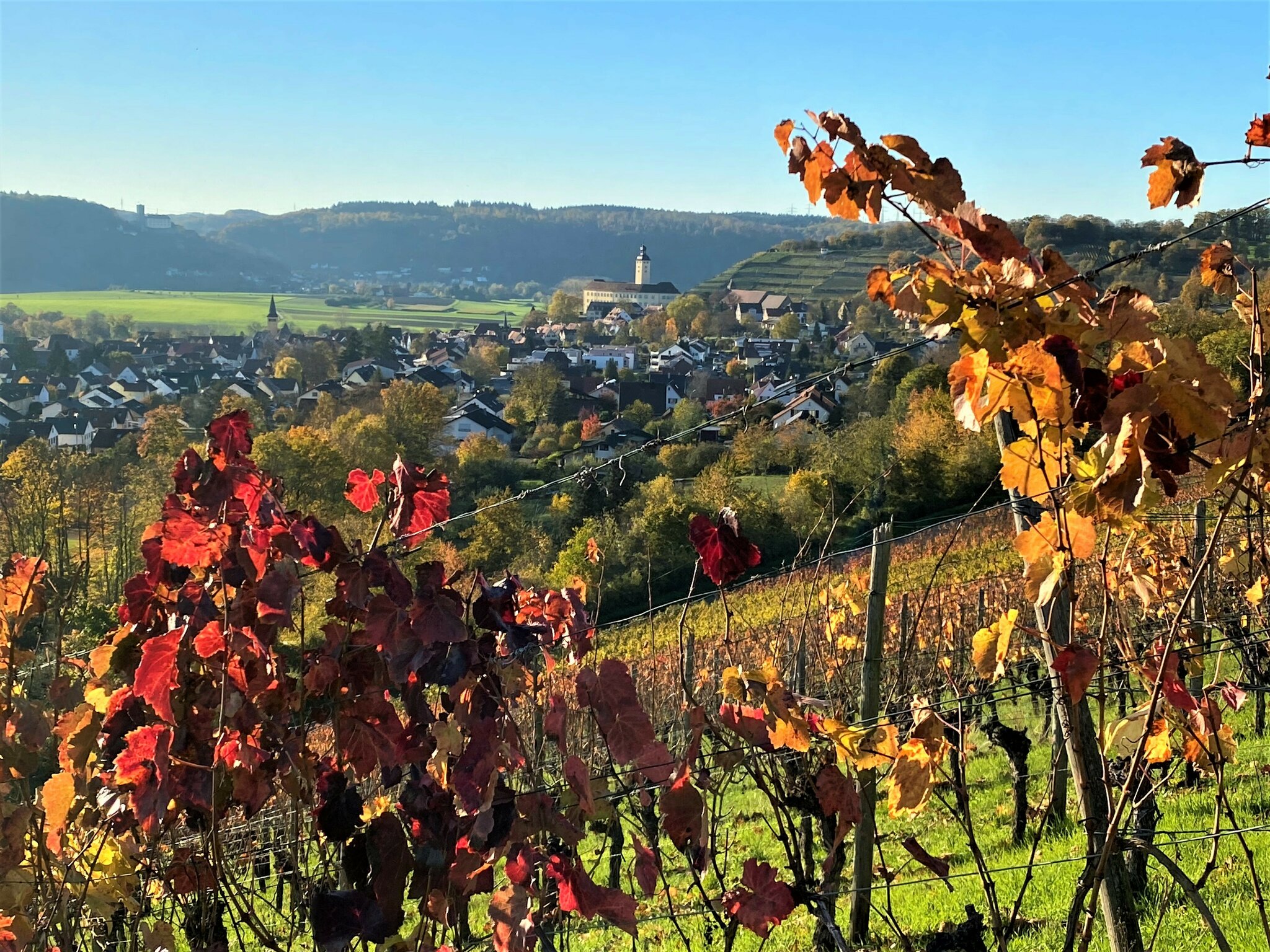 Mein Freizeittipp Dezember: Herbstspaziergang – ein Farbenrausch in der ...