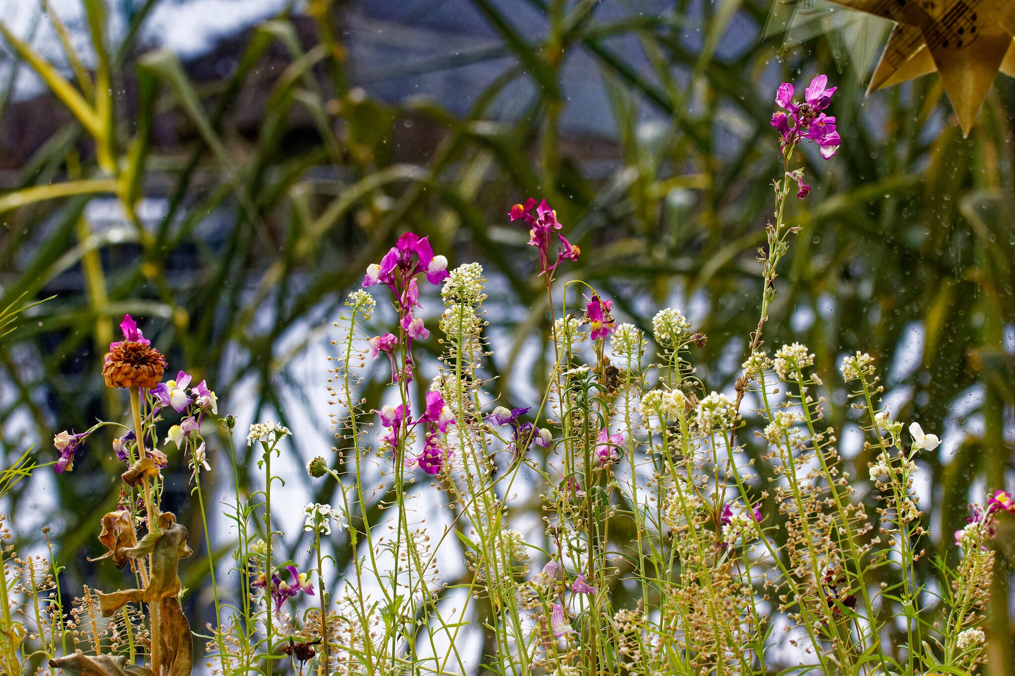 Winter: Hart im Nehmen ... - Heilbronn