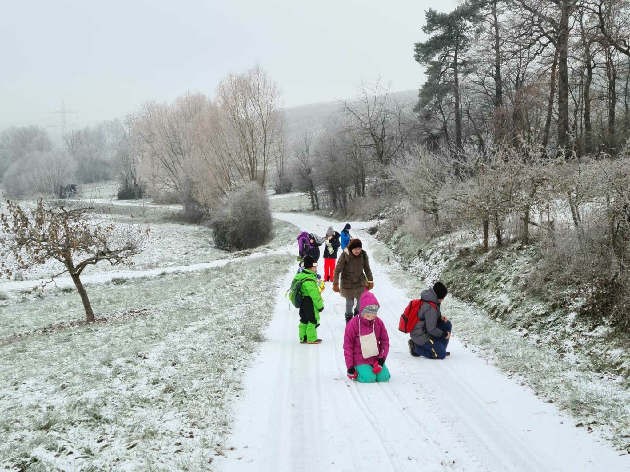 NAJU-Winterwanderung: NAJU-Winterwanderung - Schwaigern
