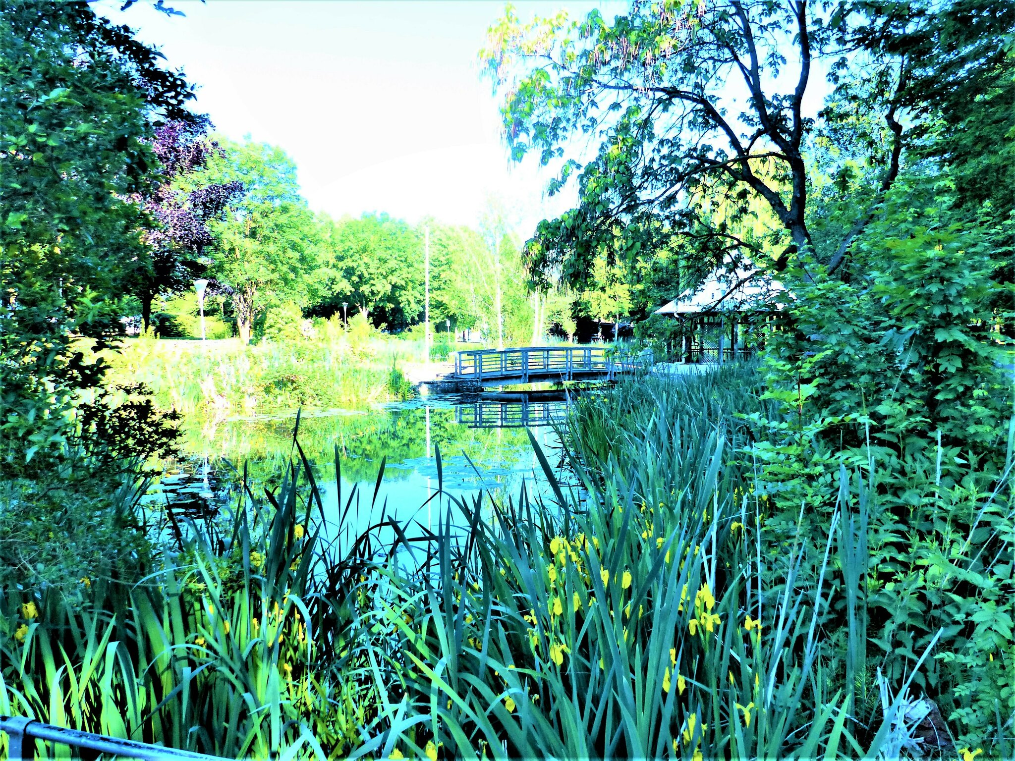 Brücken: Schlossparkbrücke Gemmingen - Gemmingen