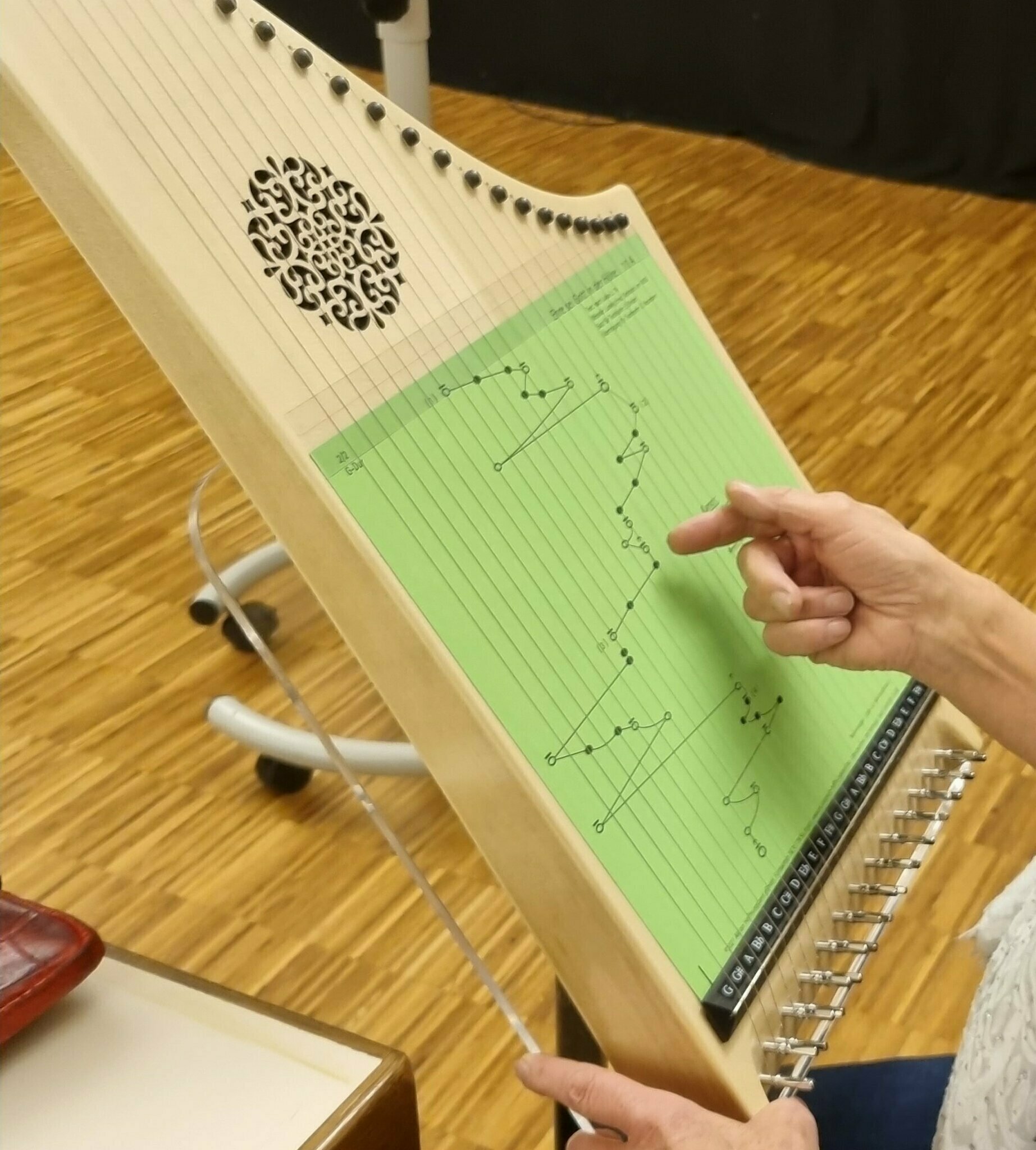 Sanfte Töne für die Seele: Veeh-Harfen-Ensemble Brackenheim ist ...