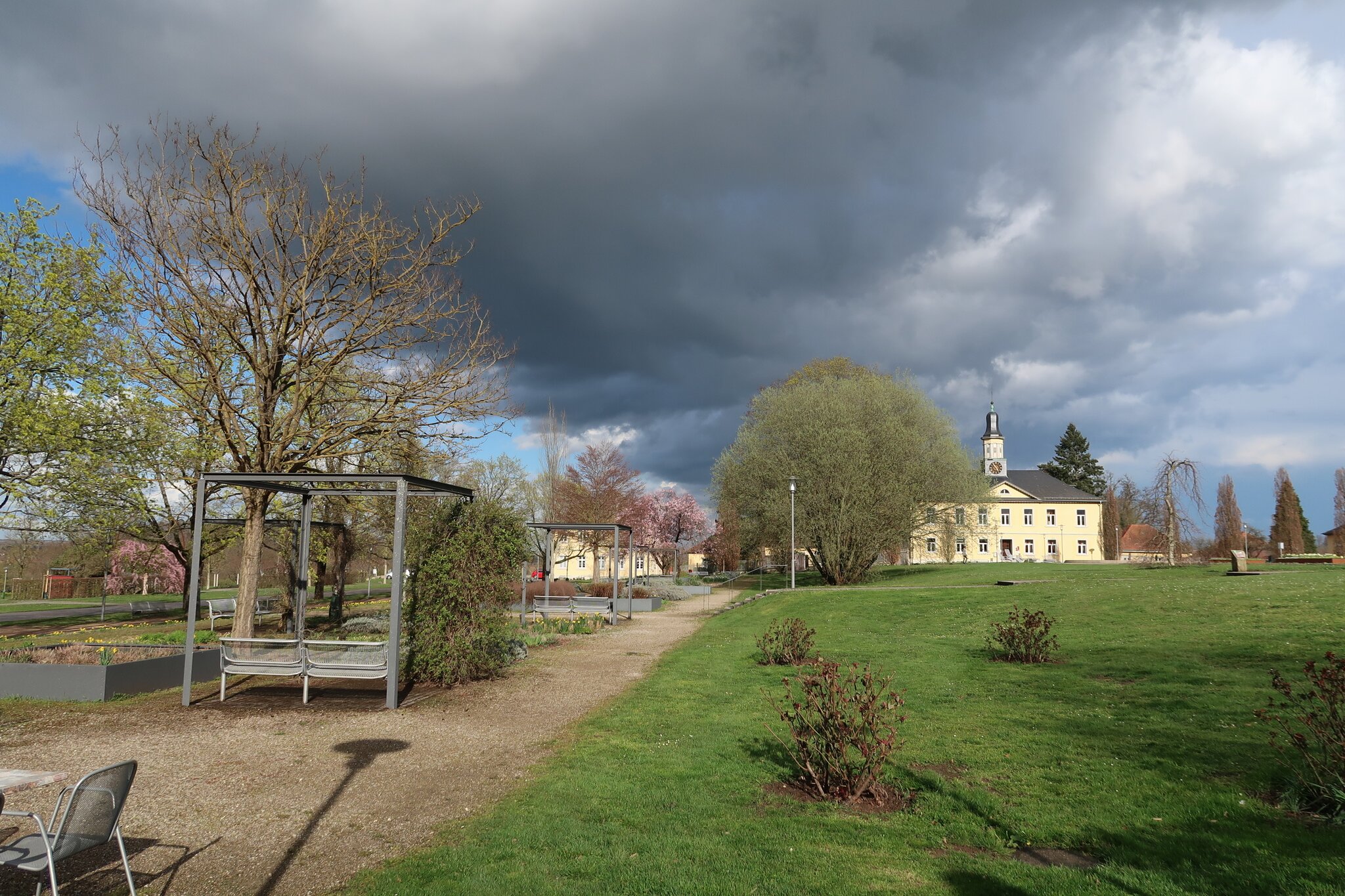 Bad Rappenau: Besondere Lichverhältnisse und die jungen Nilgänse. - Bad ...
