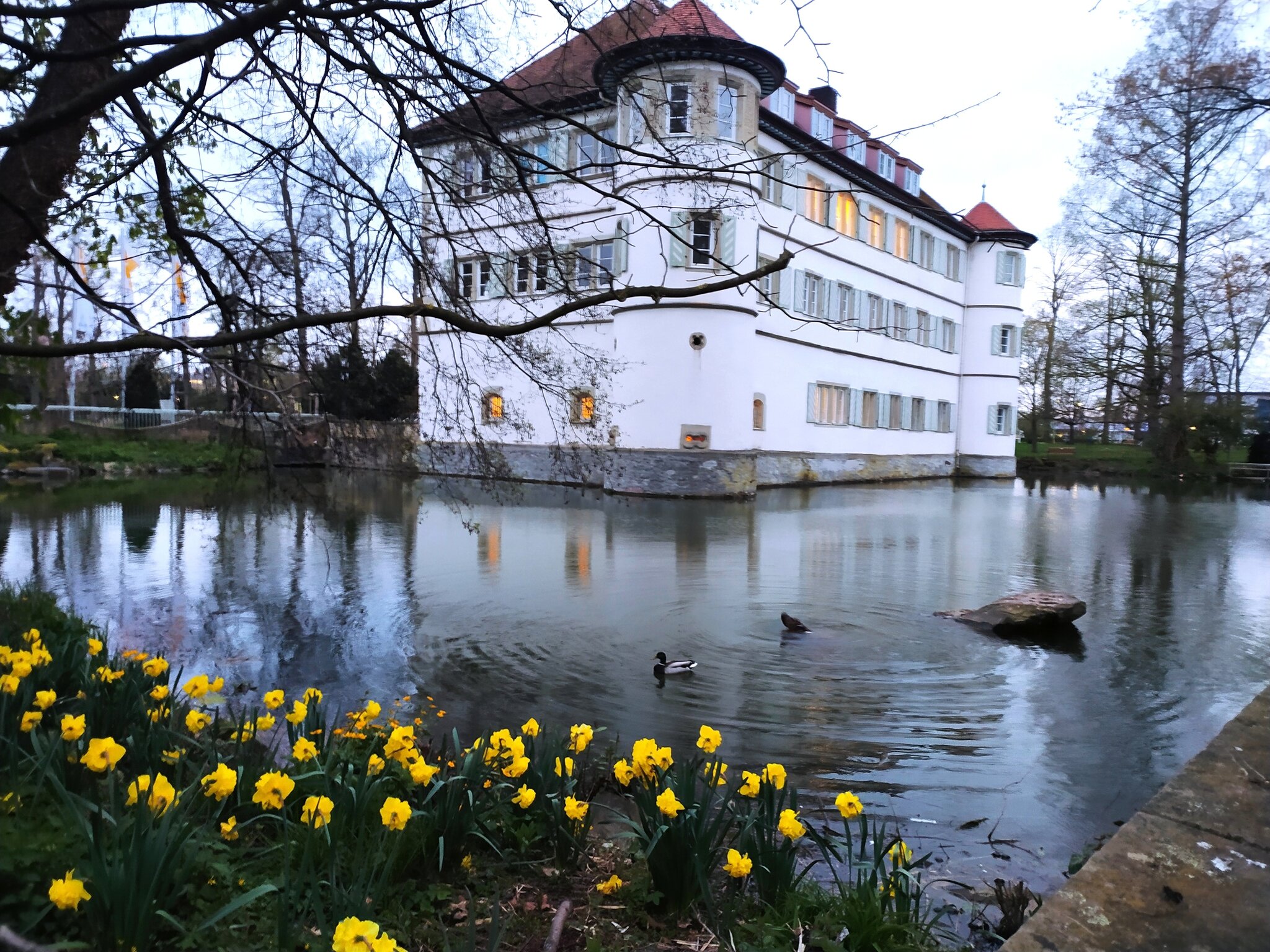 Abendstimmung: Das Wasserschloss im Abendlicht - Bad Rappenau
