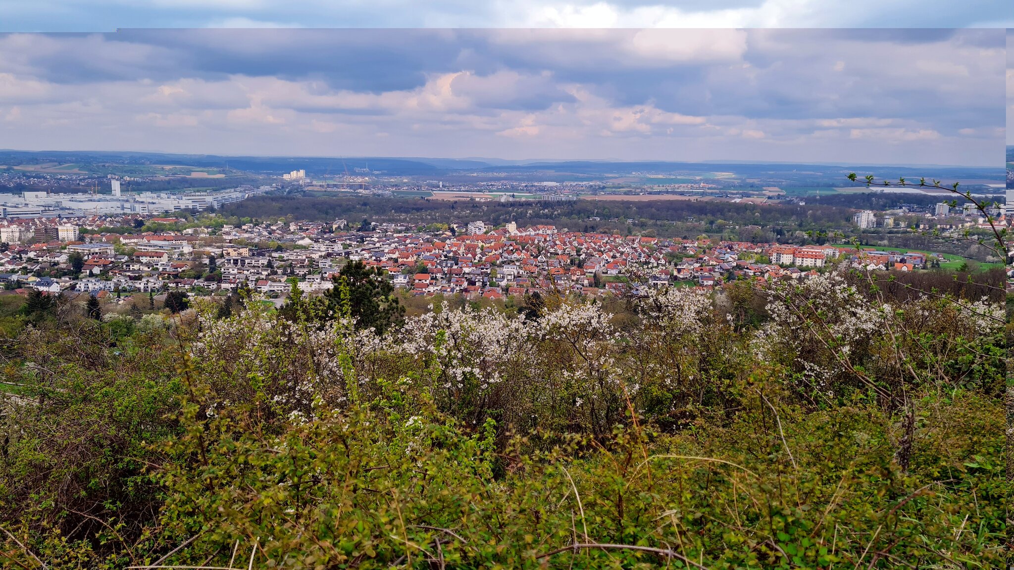 Heimat ist für mich: ... meine Heimatstadt Neckarsulm - Neckarsulm