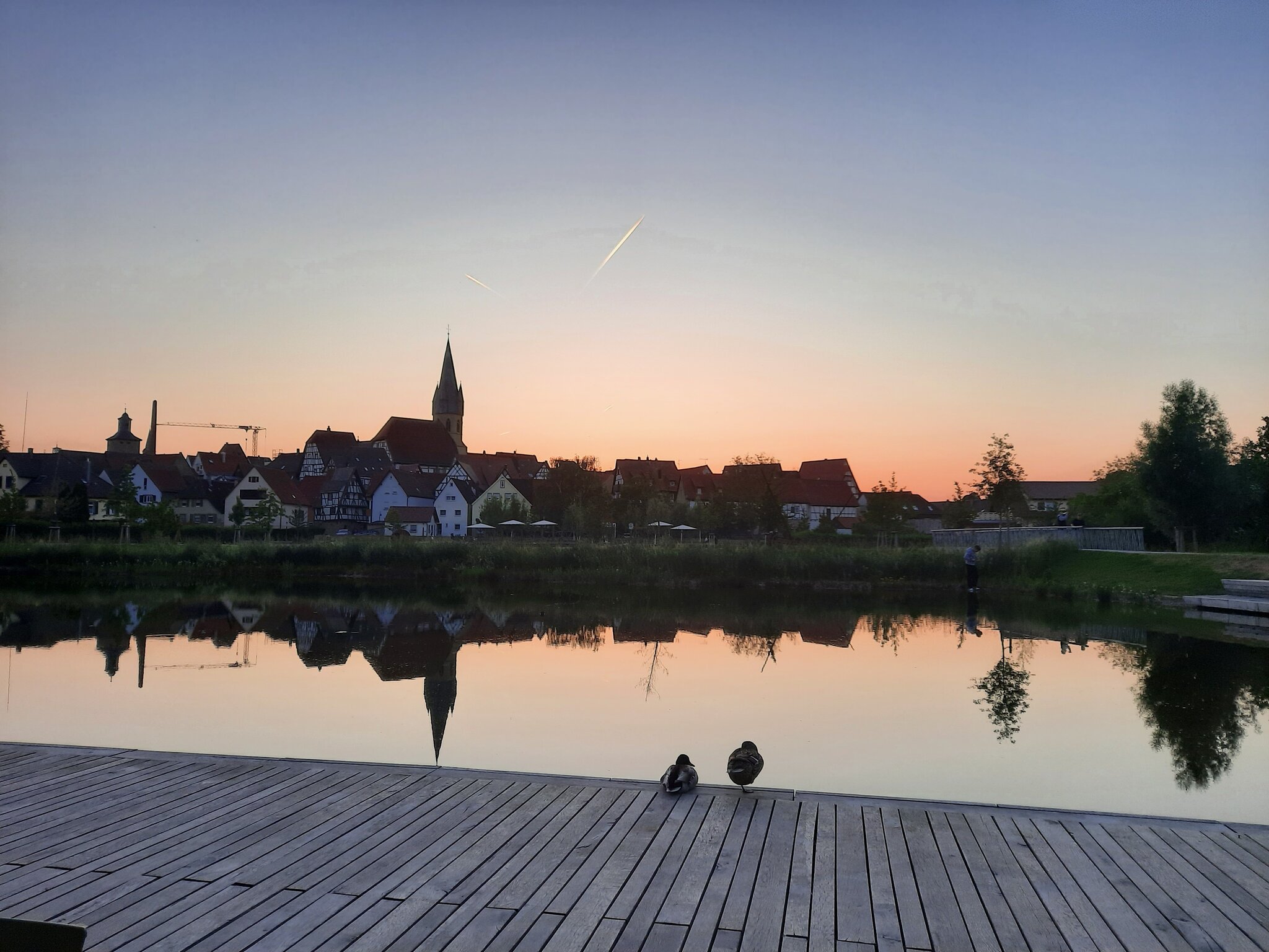 Eppingen Altstadtpanorama am Stadtweiher: Entenpaar genießt den Blick ...