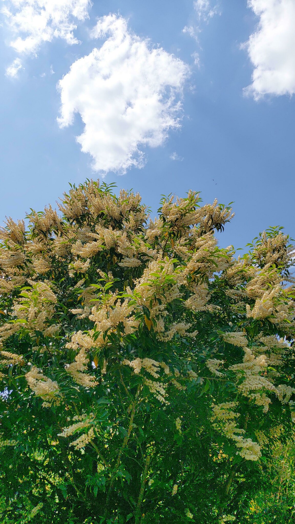**Ausblicke**: Die Ausblicke momentan von der Terrasse aus sind ein Traum, einfach herrlich🌞😍🌞😍 ...