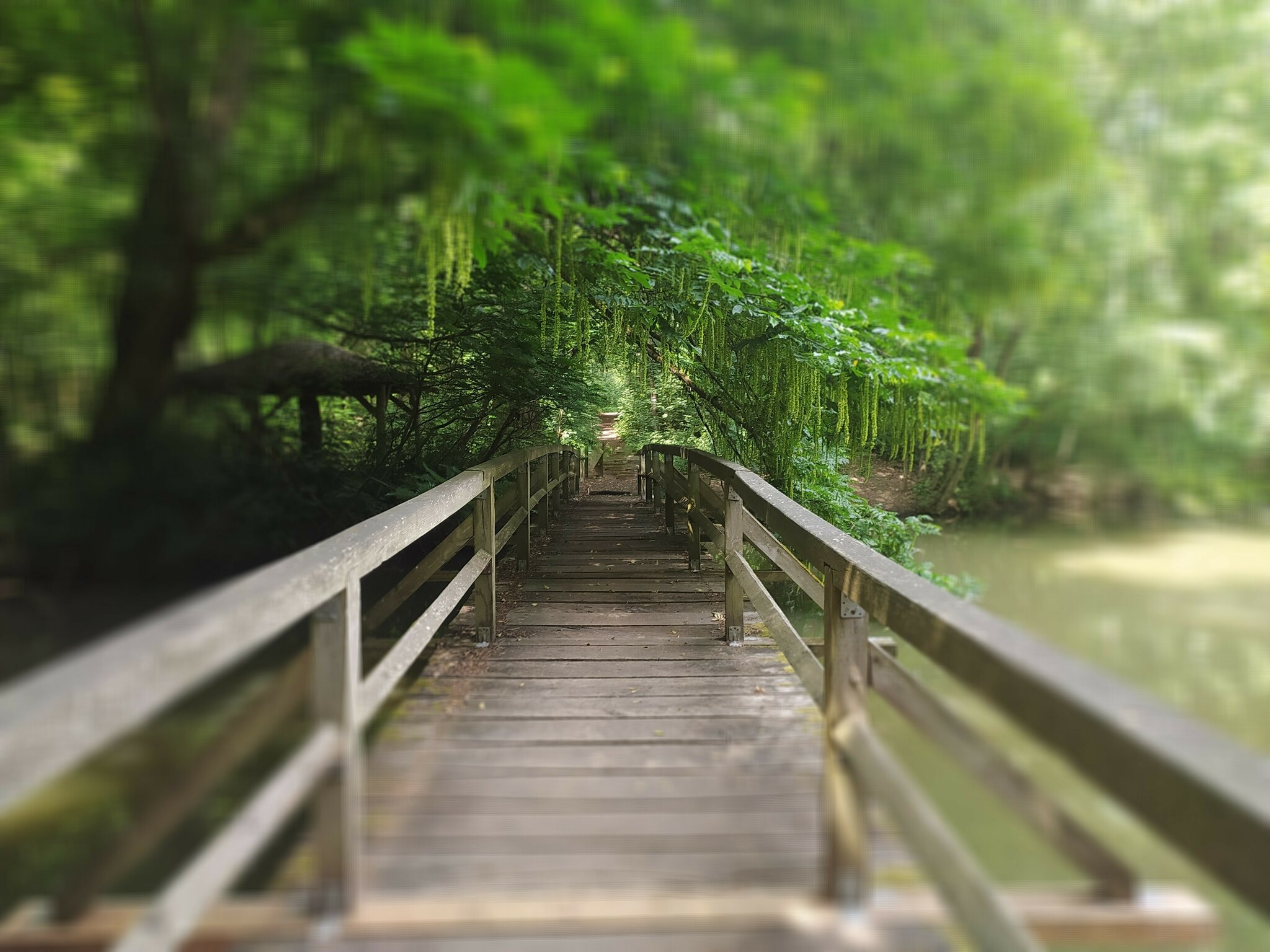 Wanderwege in der Heimat - Drei-Seen-Tour: Drei Seen ...