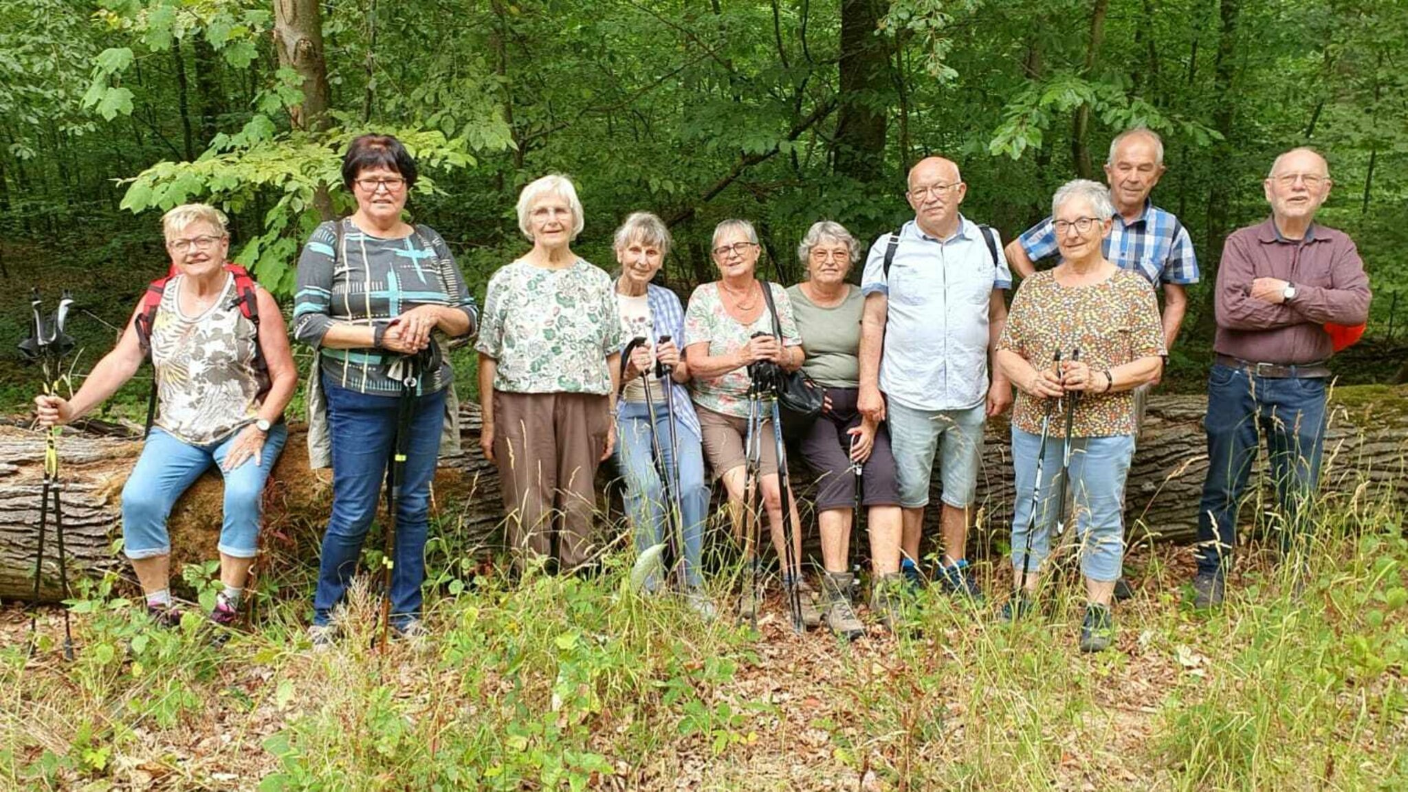 Schwäbischer Albverein Ingelfingen-Criesbach - Ingelfingen