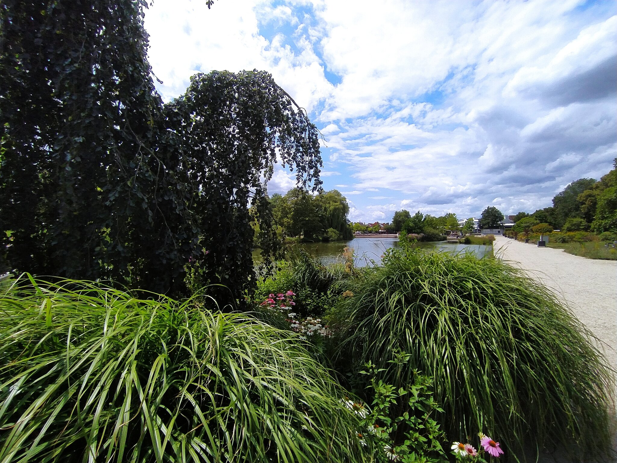 Wanderwege in der Heimat - Bad Rappenau: Durch den schönen Kurpark ins ...