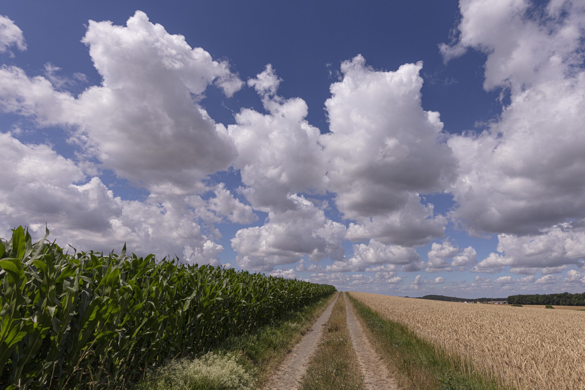 Wolkenformationen: Faszination Natur - Kirchardt