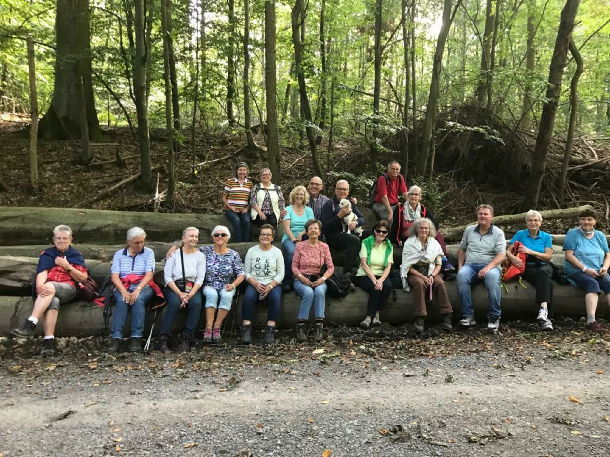 Schwäbischer Albverein Neuenstadt: Rückblick Wanderung am Sonntag, 08. ...
