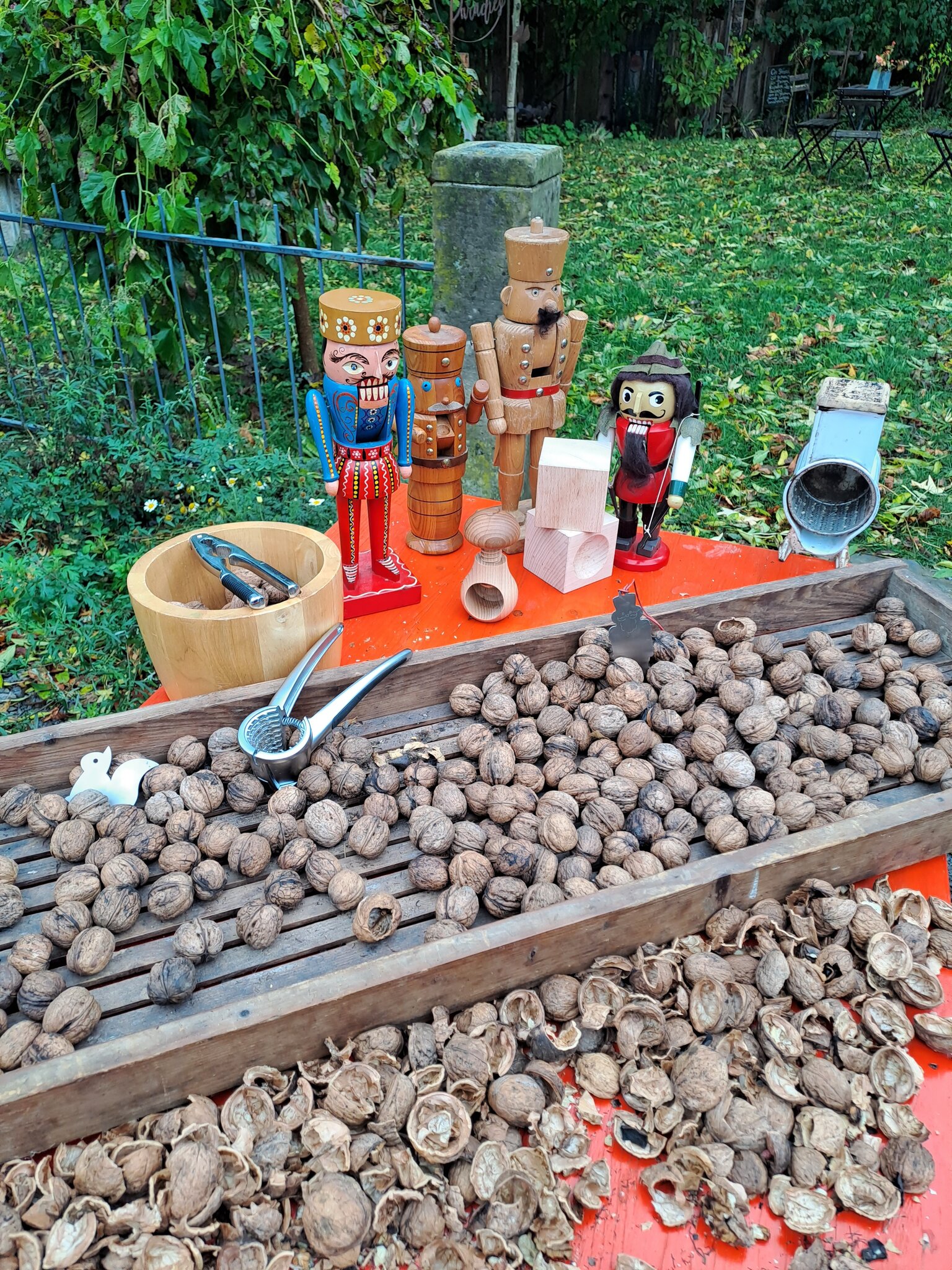 Tag der Naturheilkunde 2023: "Rund um die (Wal-)Nuss" mit dem Kneipp ...