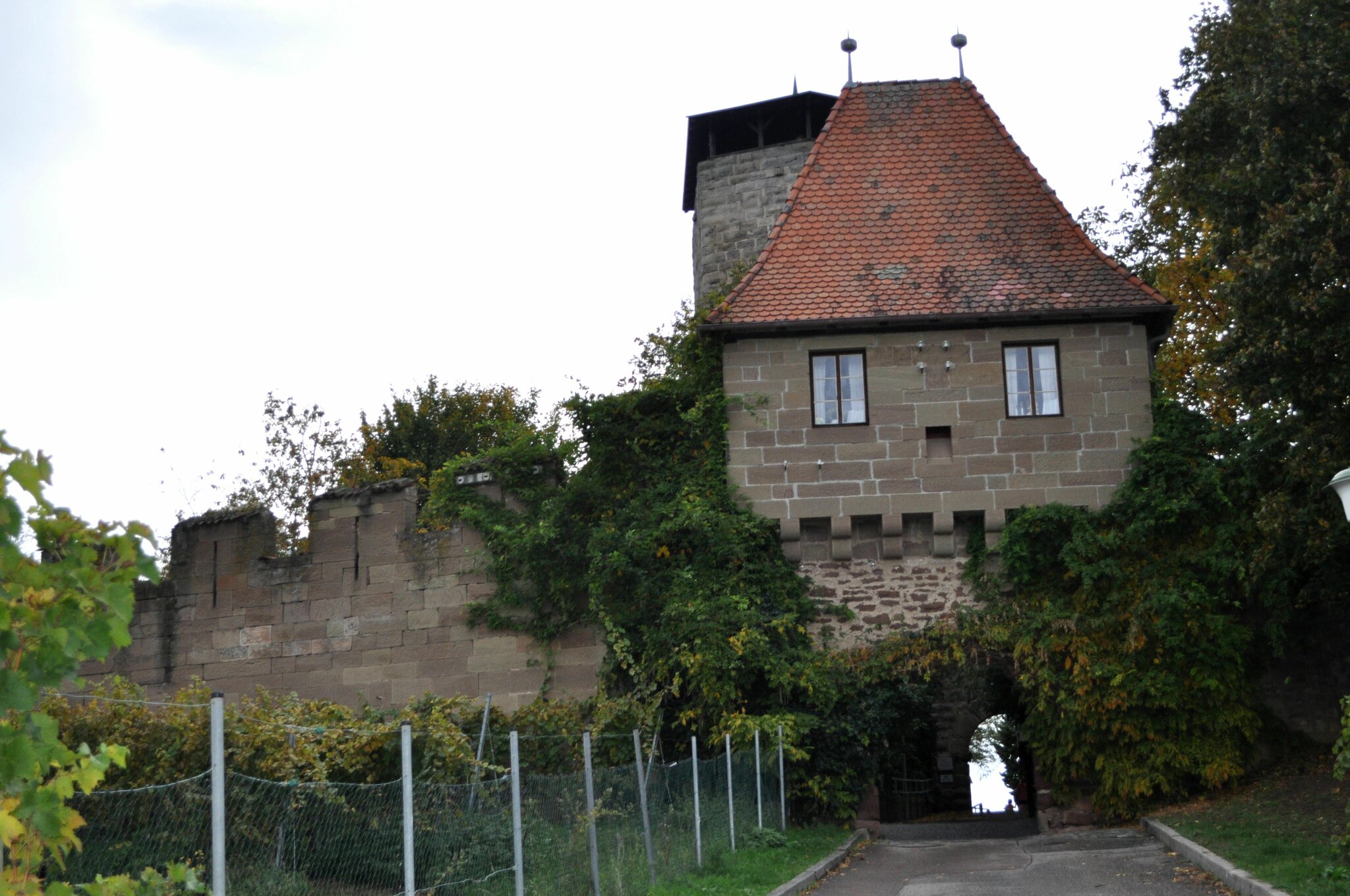 Beilstein: Spaziergang zur Burg Hohenbeilstein - Beilstein