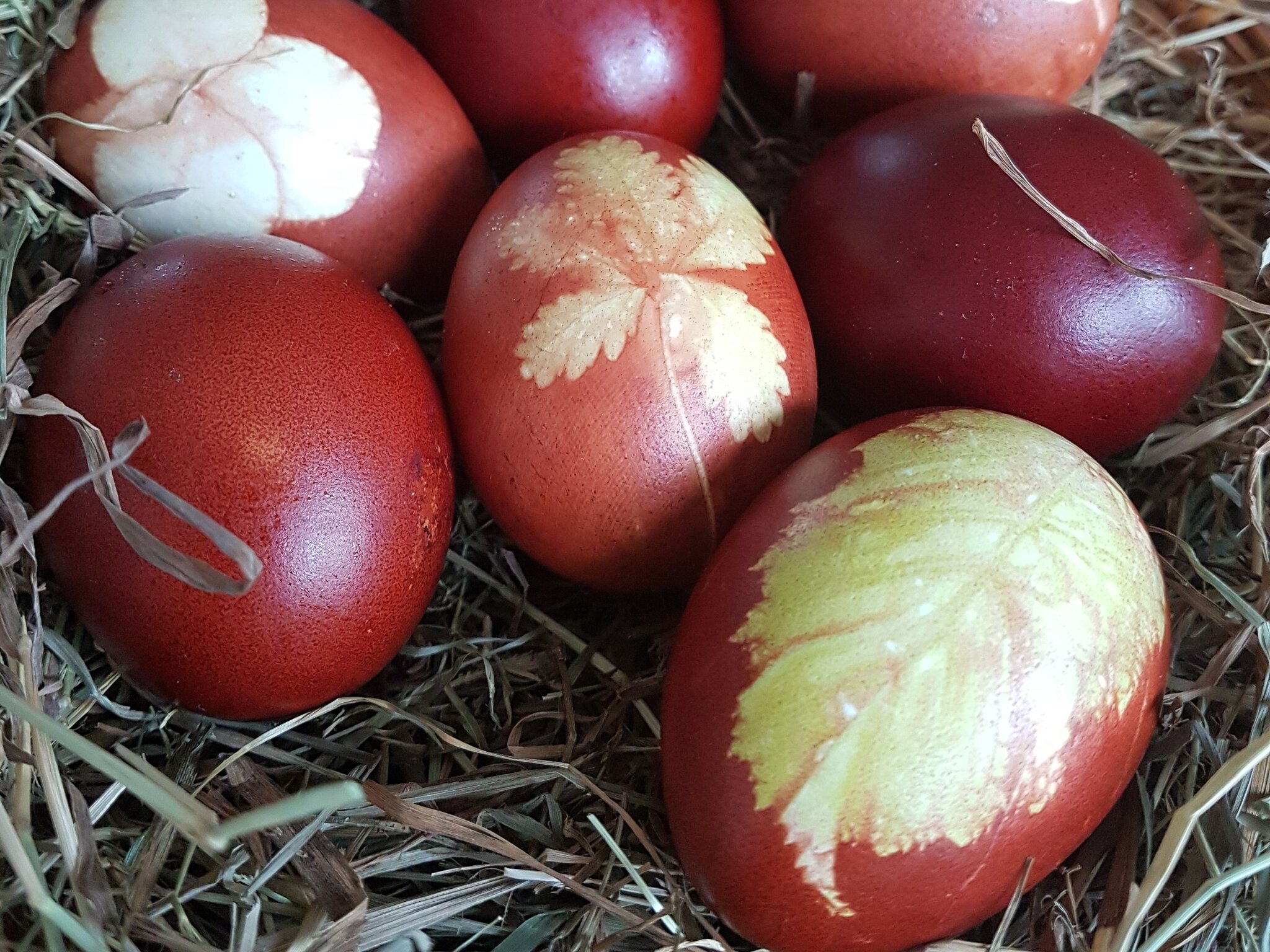 Ostern: Ostern natürlich nachhaltig - Heilbronn
