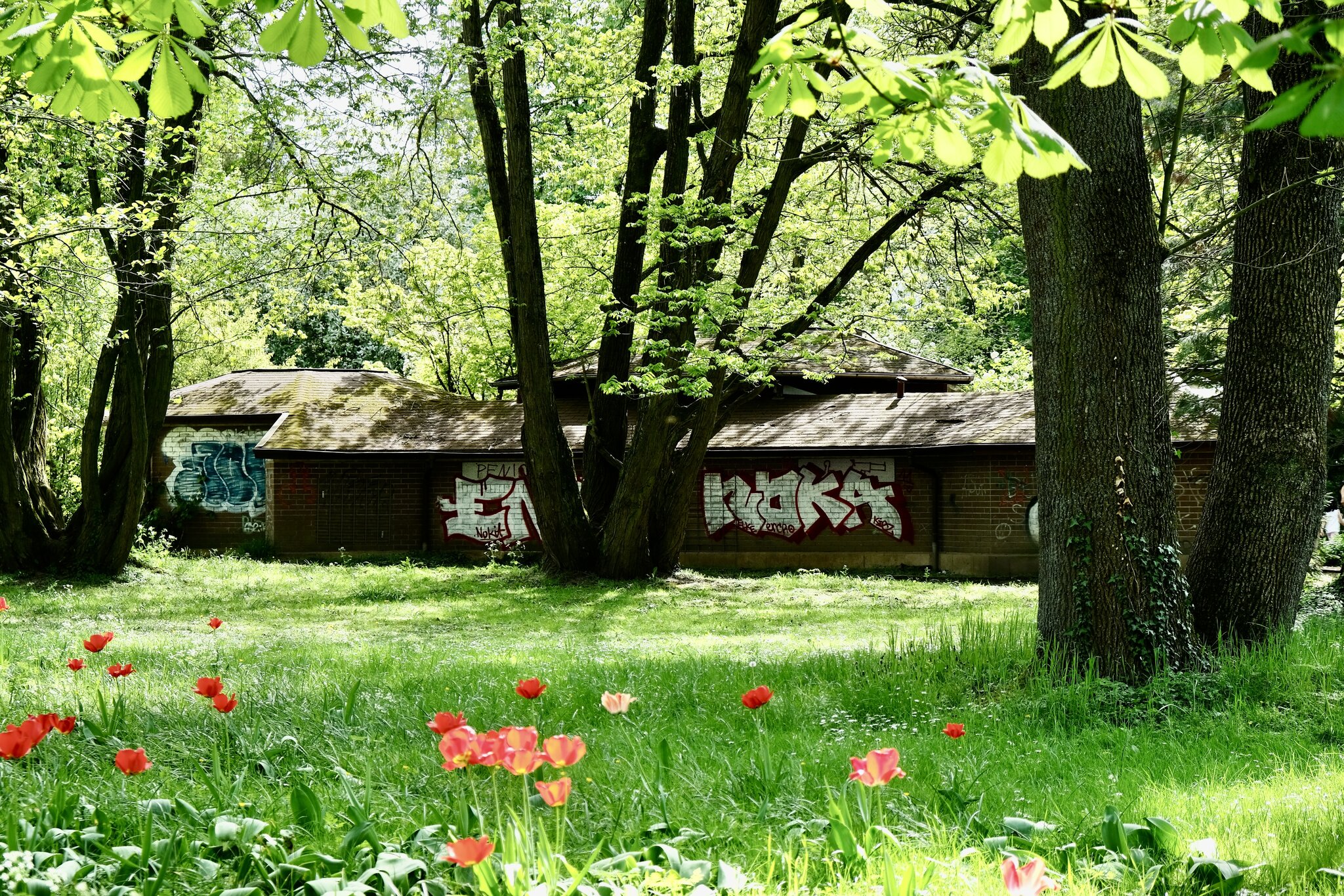 Pfühlpark Heilbronn: Stadtgrün und grüne Lunge von Heilbronn - Flein