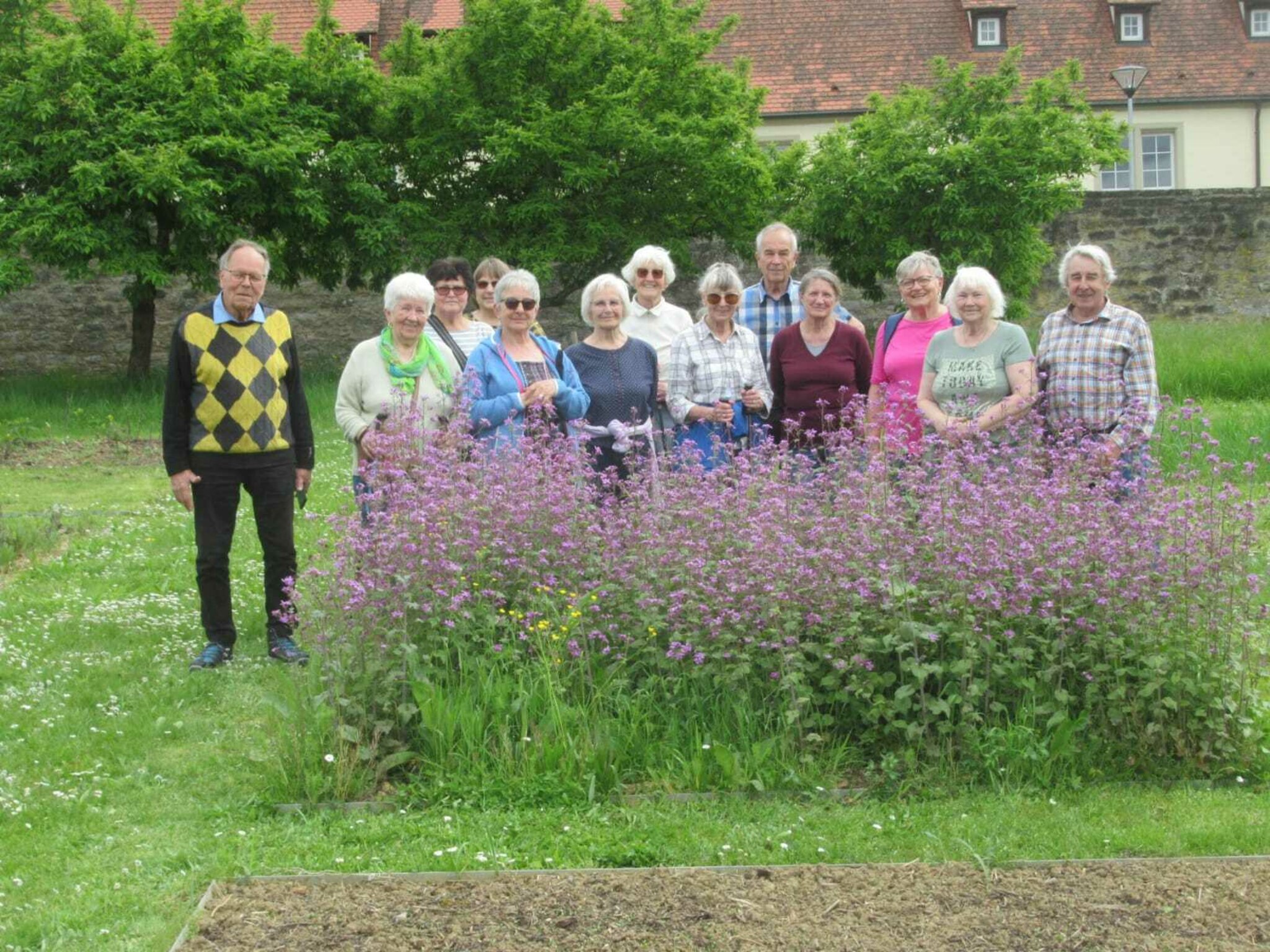 Albverein Ingelfingen-Criesbach - Ingelfingen
