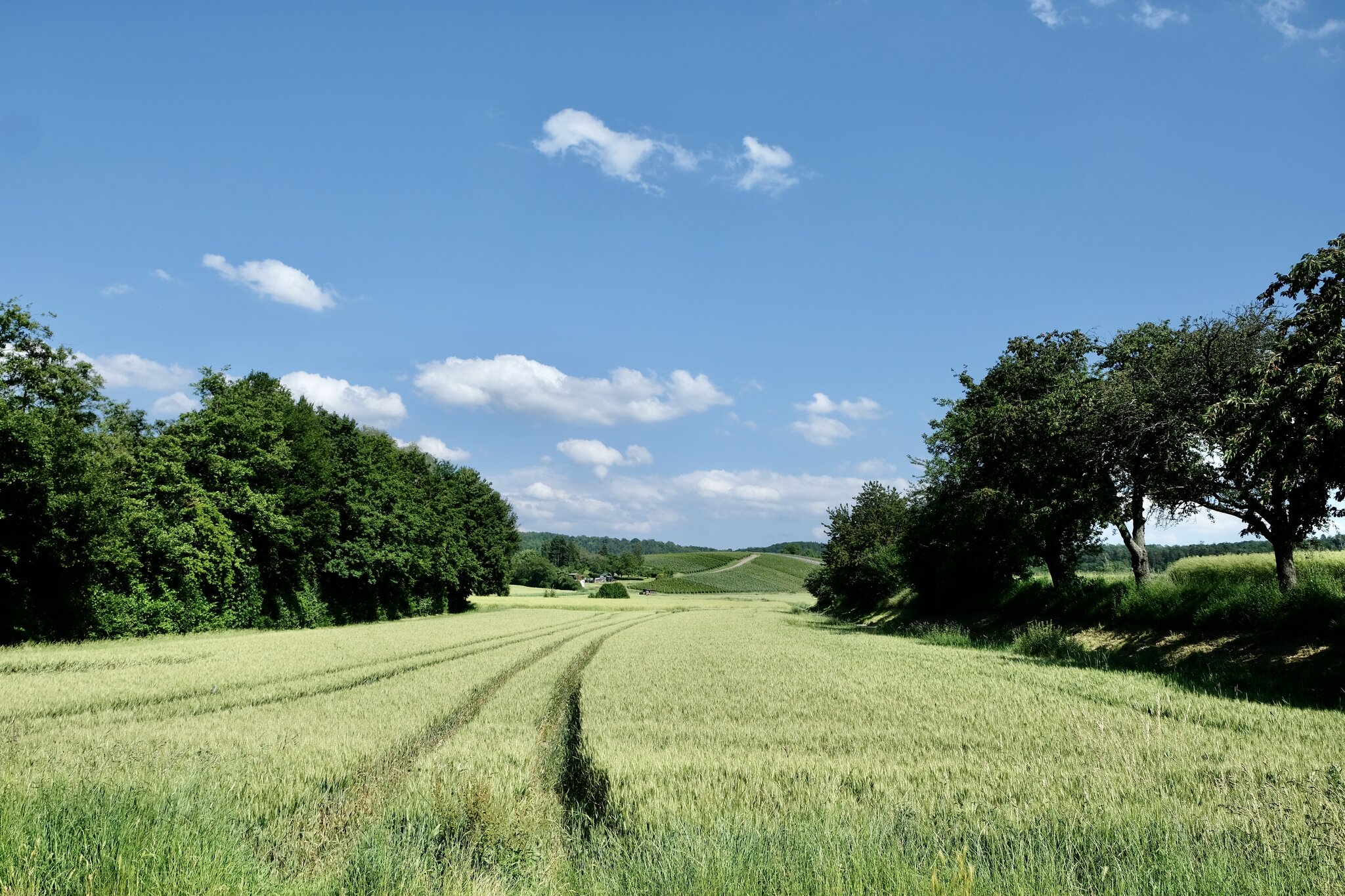Gemeinde Flein: Am Fleiner See - Flein