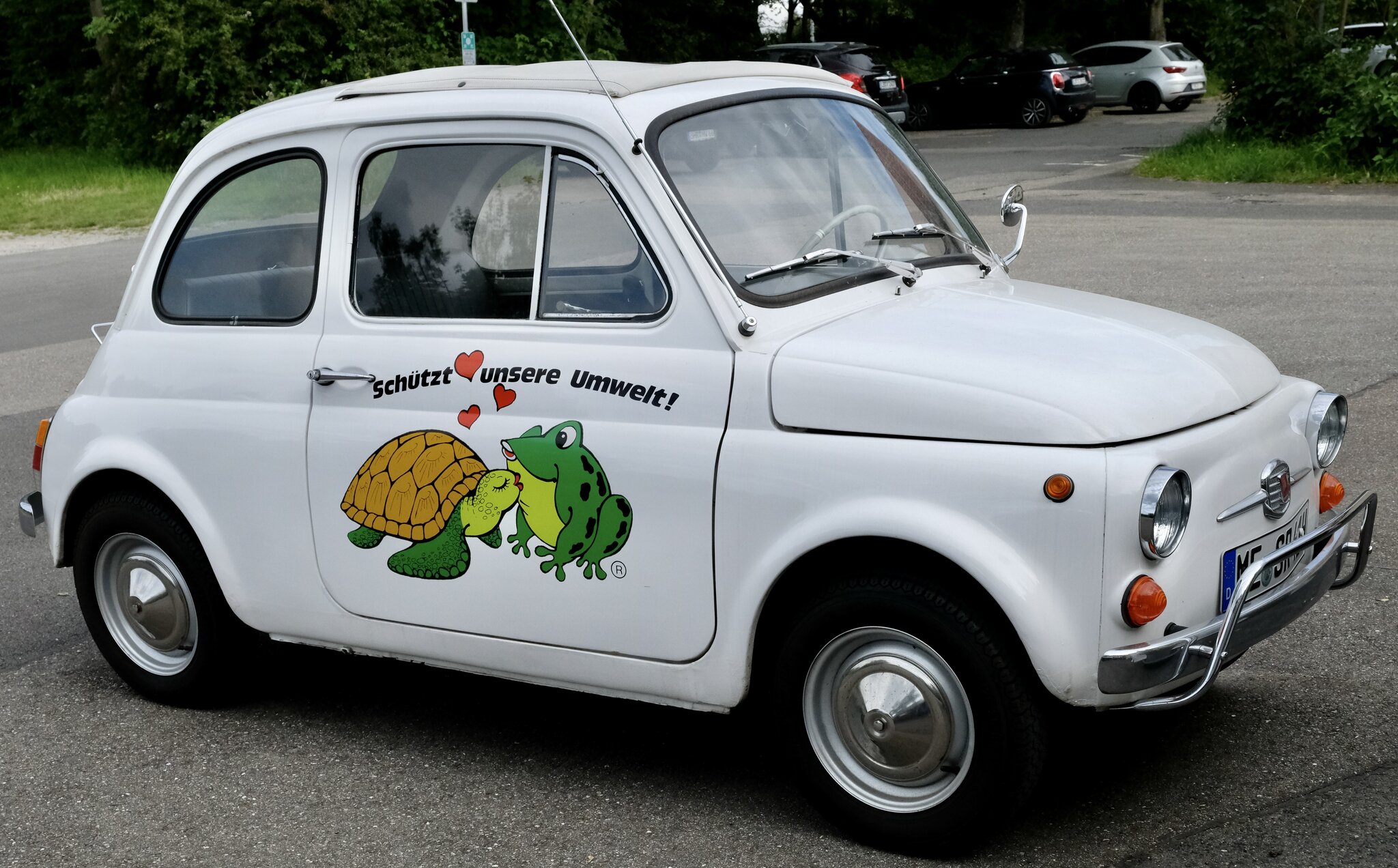 Der Haigern Flein: Schützt unsere Umwelt - Flein