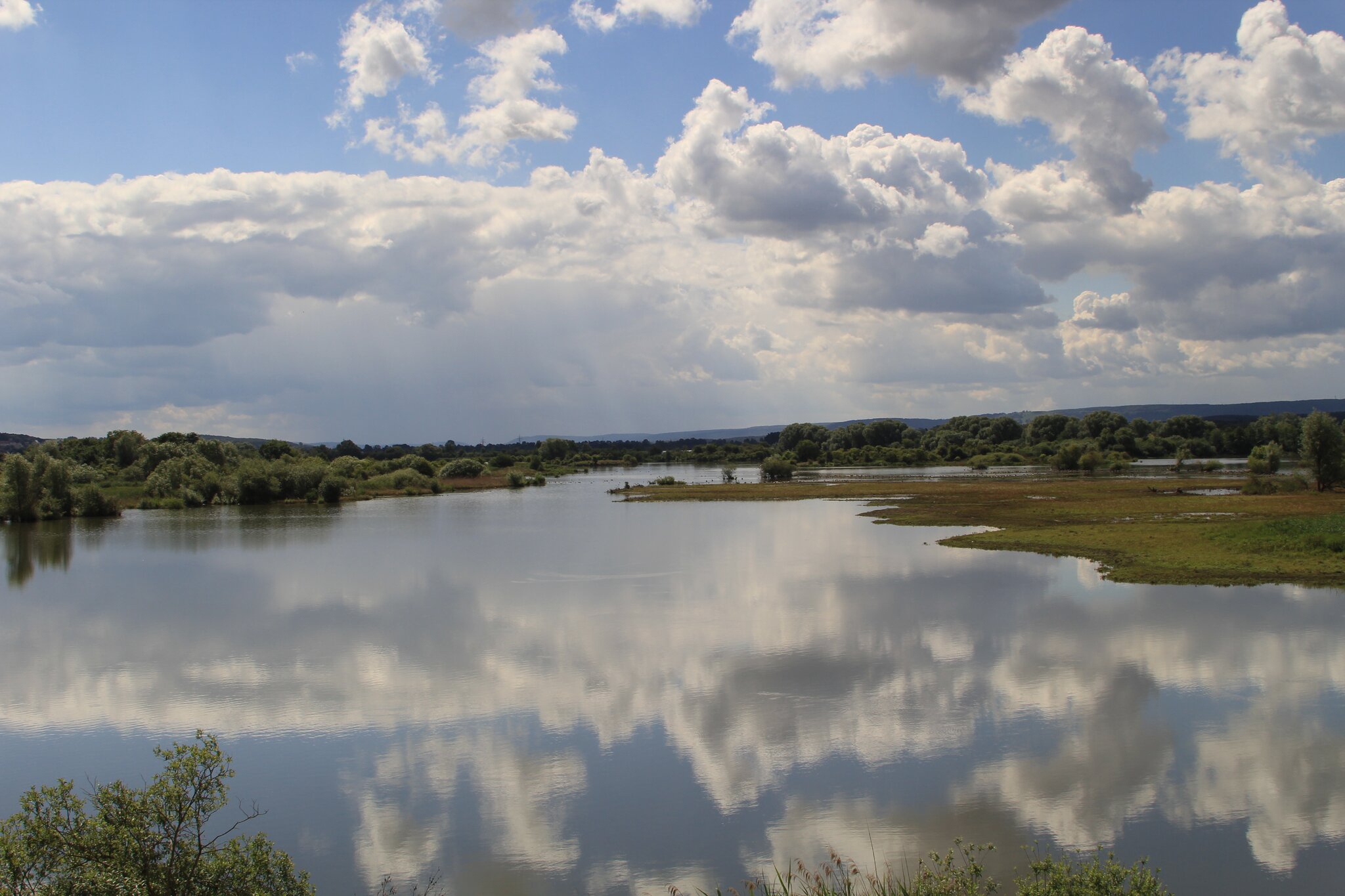 **🦆Altmühlsee- Vogelinsel🦢**: **Fränkisches Seenland** - Hohenlohe