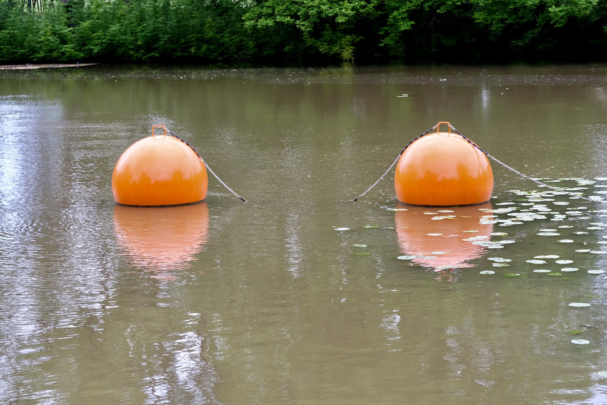 Rund: Kugelrund im Doppelpack - Flein