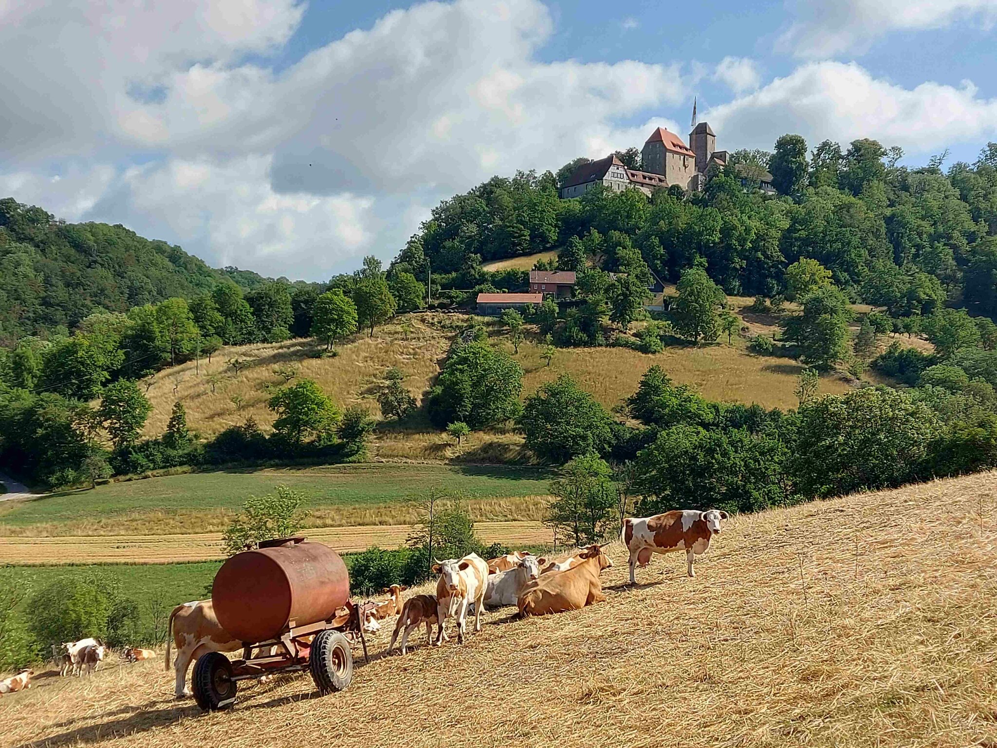 Landschaft genießen, aktiv sein: Durch die Flur rund um Steinkirchen ...