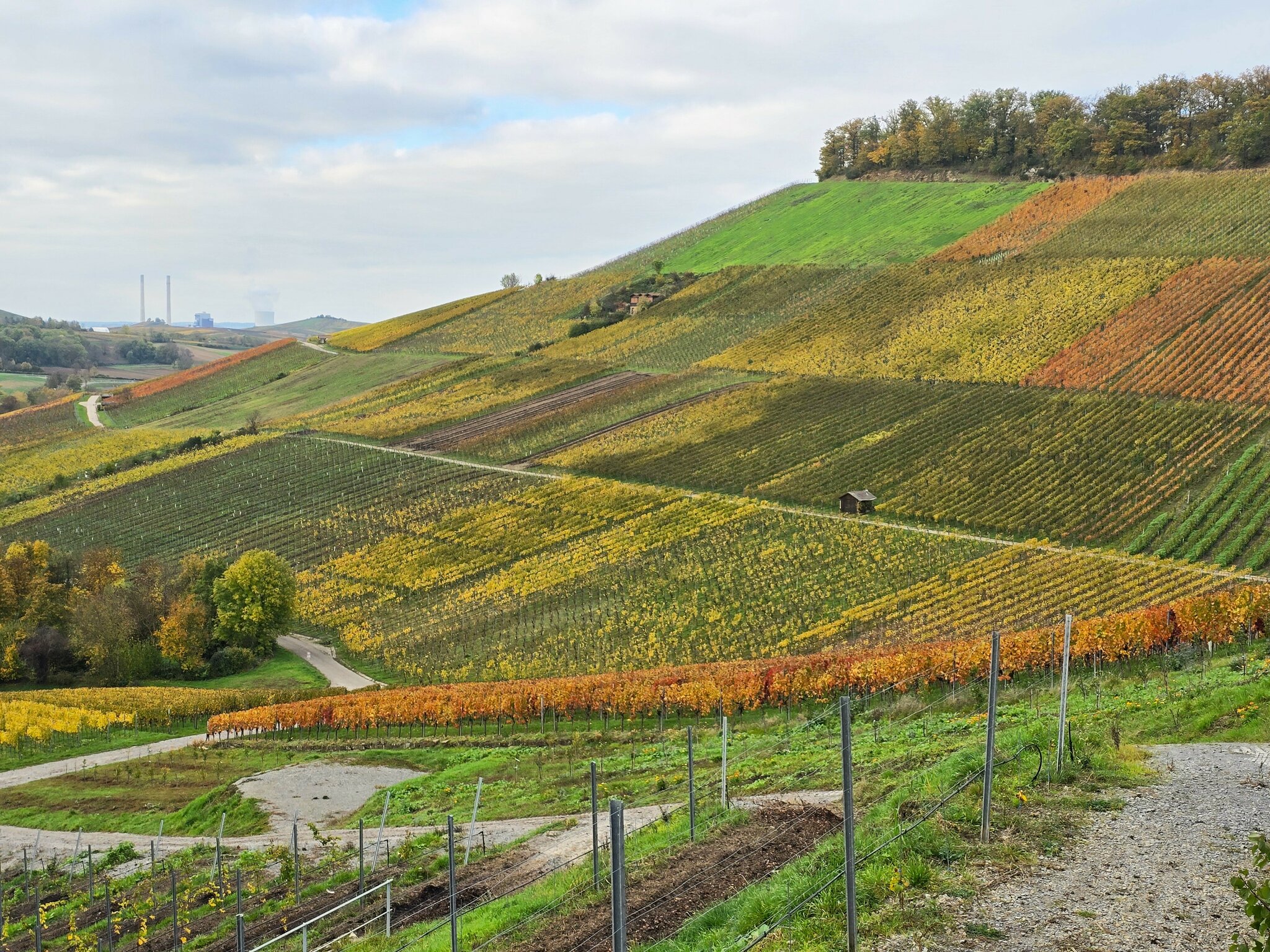 HERBSTFARBEN: WIE GEMALT: Blicke auf die Weinberge von der Weibertreu ...